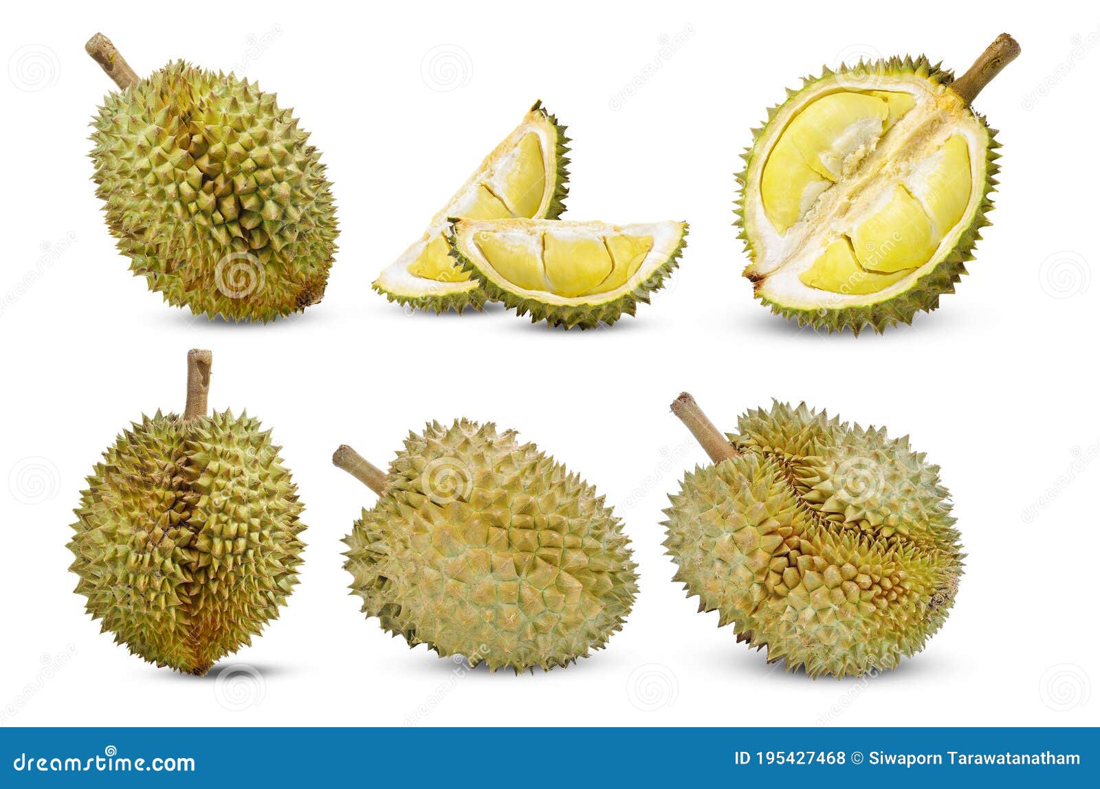 Durian Isolated on White Background Stock Photo - Image of thorny ...