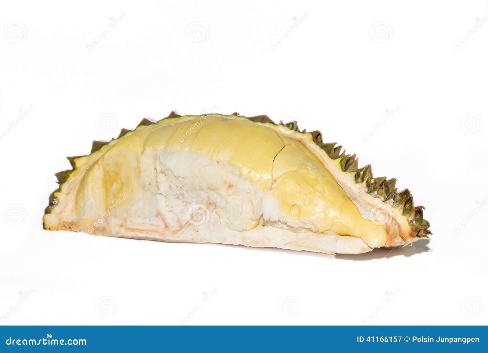 Durian isolated stock image. Image of season, asian, nutritious - 41166157