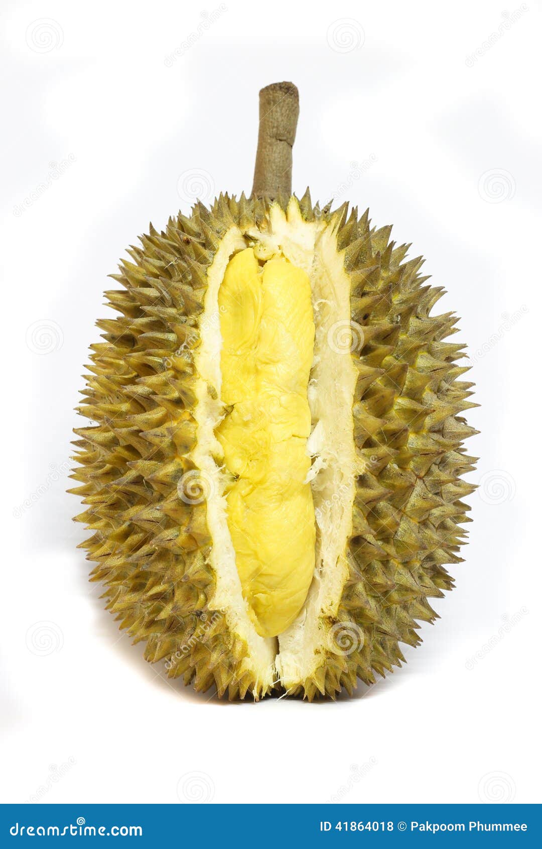 Durian isolated stock photo. Image of green, durian, ingredient - 41864018