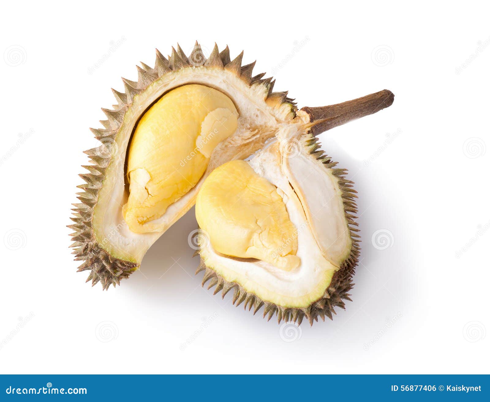 Durian Isolated on White Background Stock Photo - Image of exoticism ...