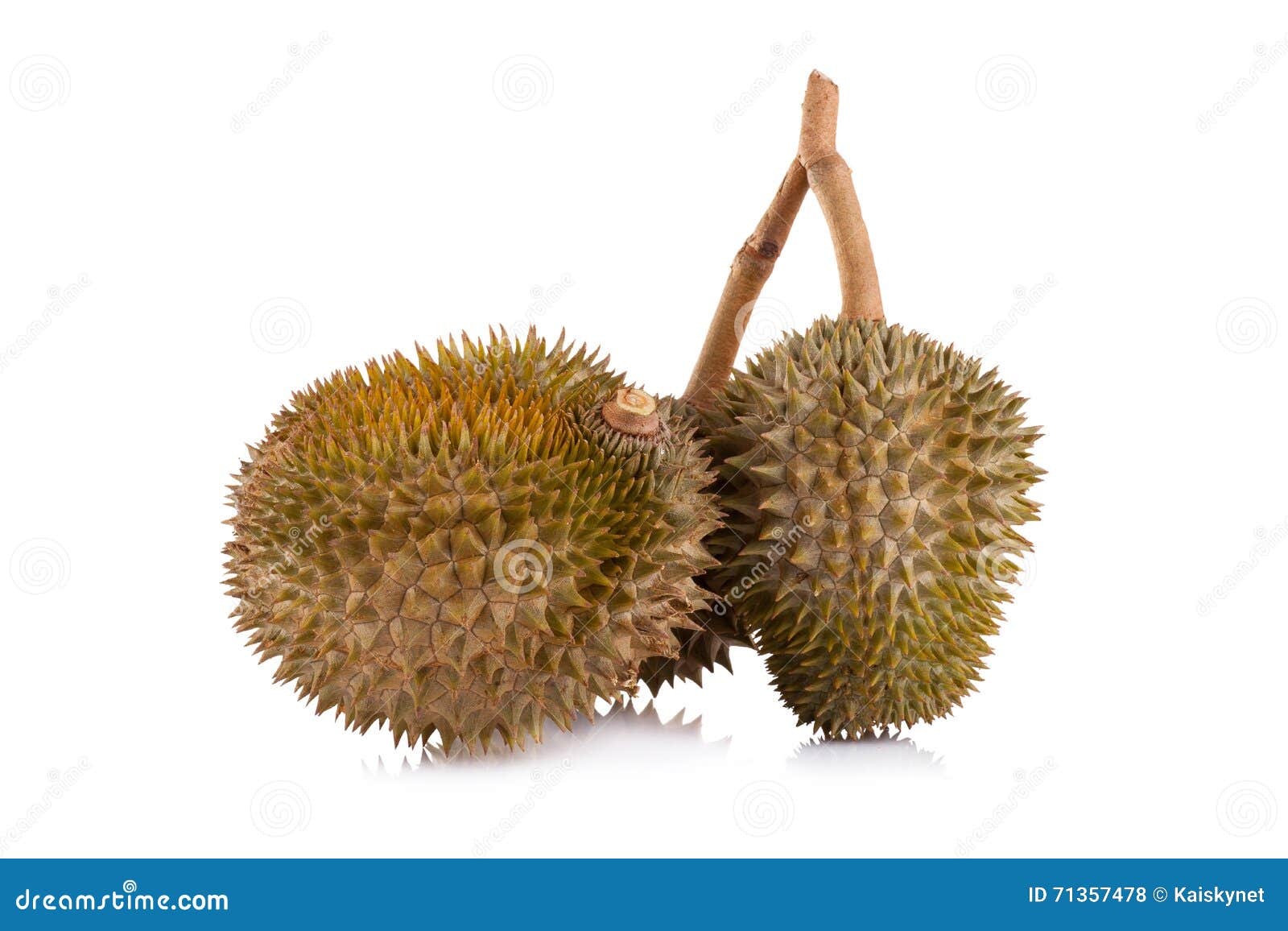 Durian Isolated on White Background Stock Photo - Image of piece ...