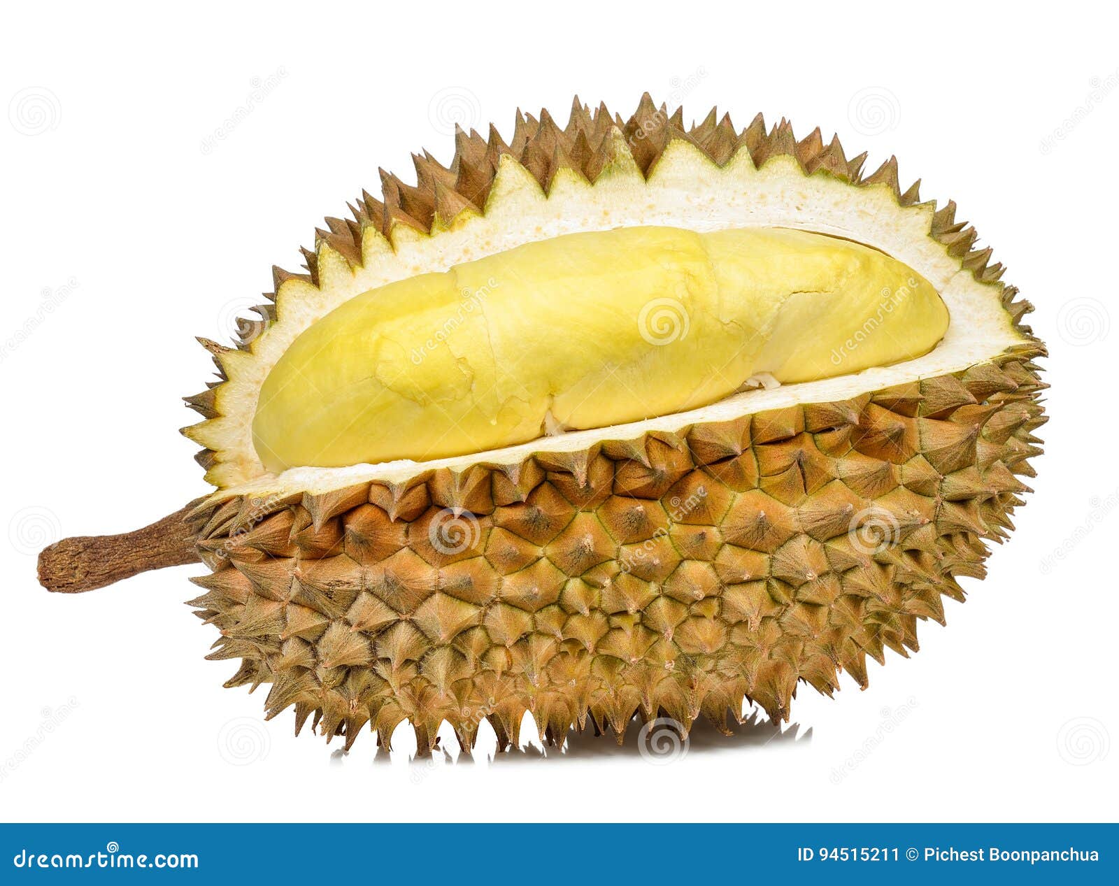 Durian Isolated on the White Background Stock Image - Image of durian ...