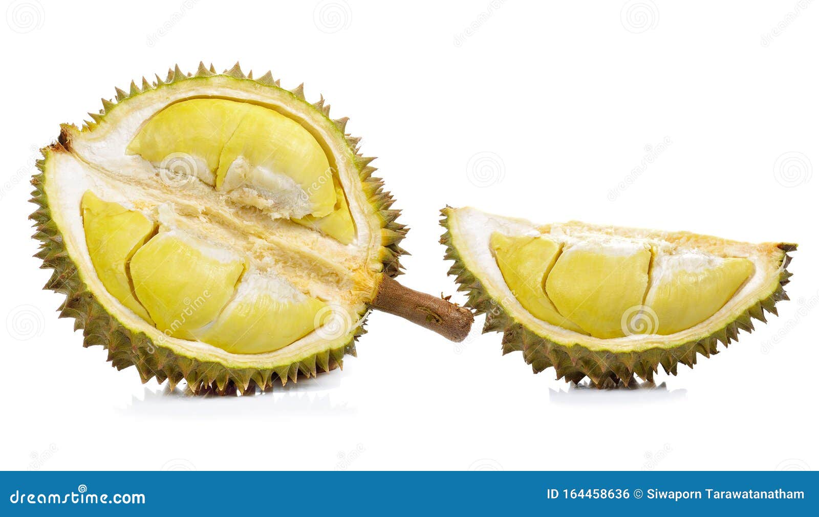 Durian Isolated on White Background Stock Photo - Image of natural ...