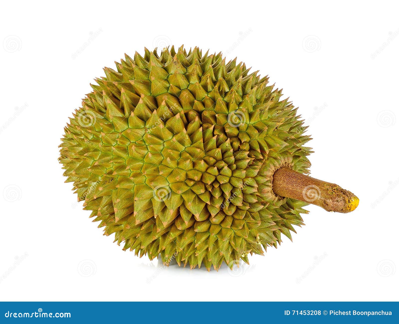 Durian Isolated on White Background Stock Photo - Image of piece ...
