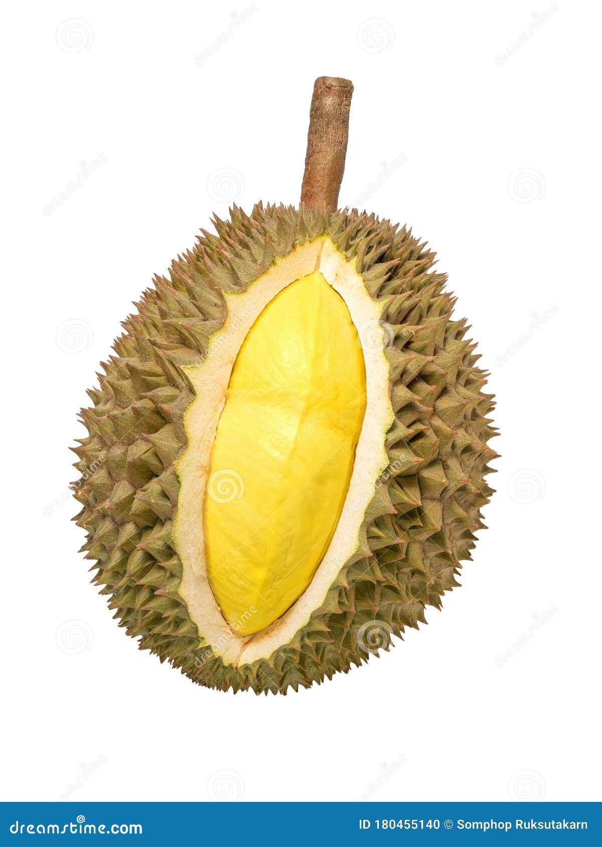 Durian Isolated on White Background, Durian Isolated for Packaging ...