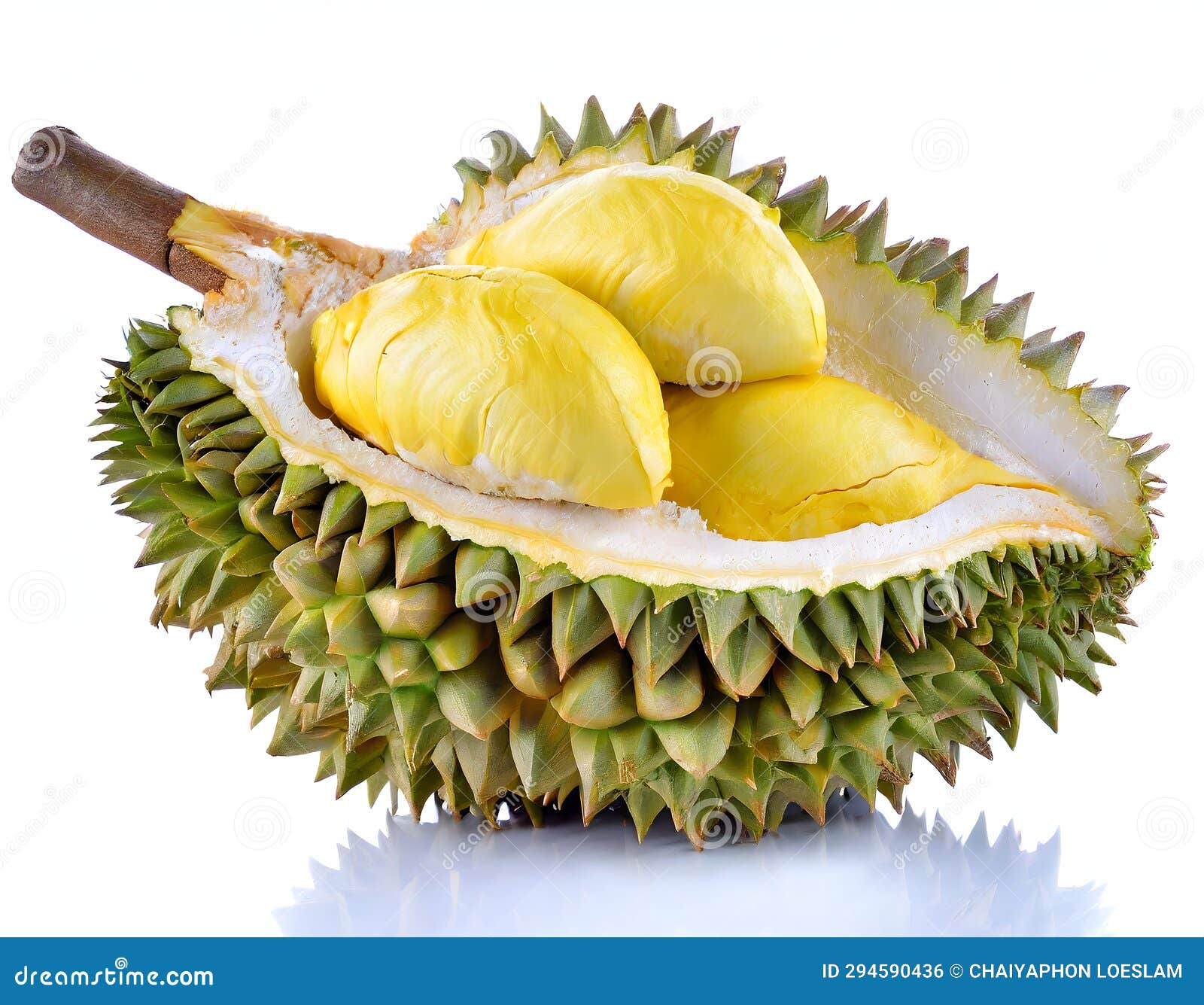Durian Isolated on White Background Stock Photo - Image of cross, king ...