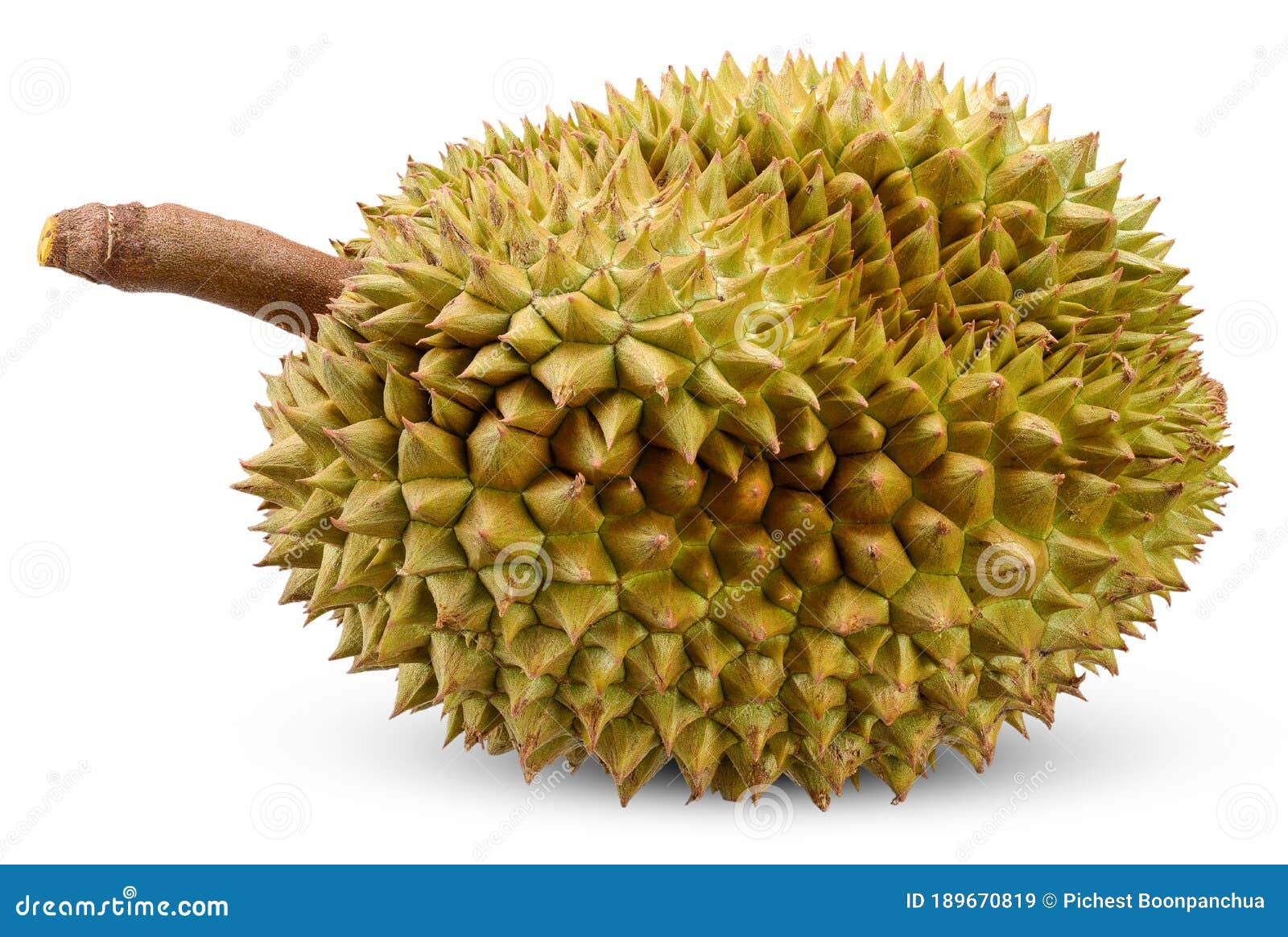 Durian Isolated on White Clipping Path Stock Image - Image of isolated ...
