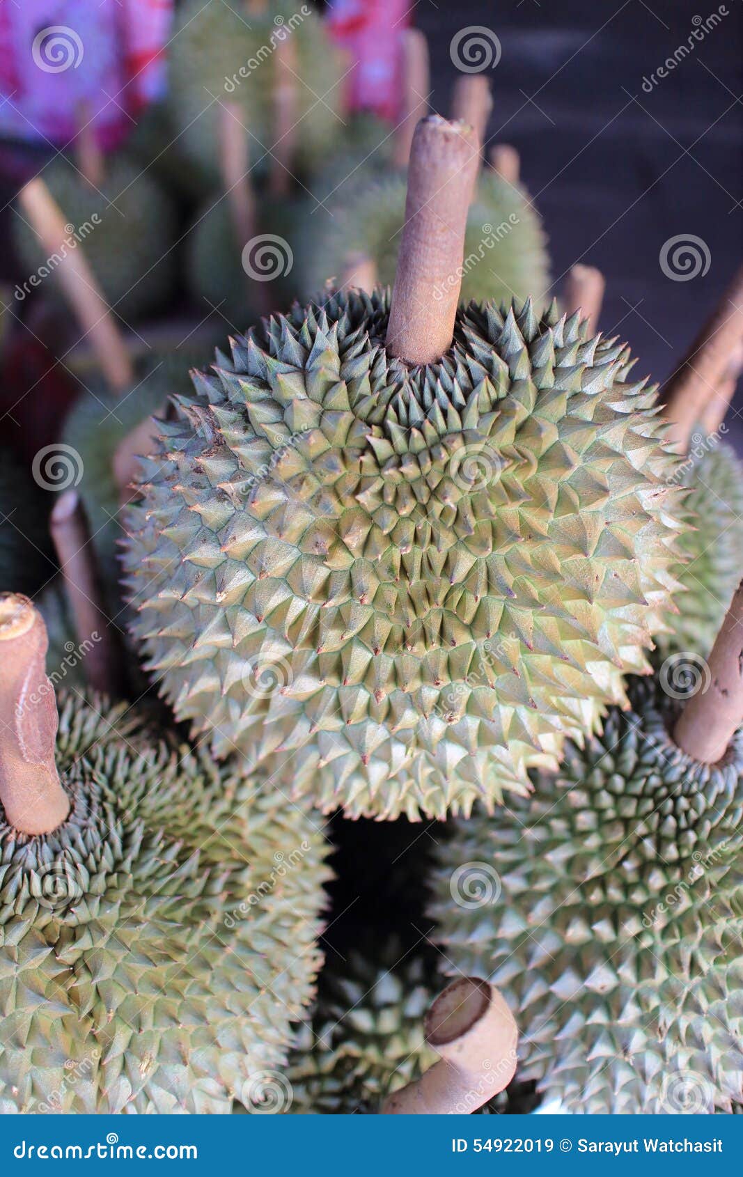 Durian Kanyao stock image. Image of fruit, durian, kanyao - 54922019