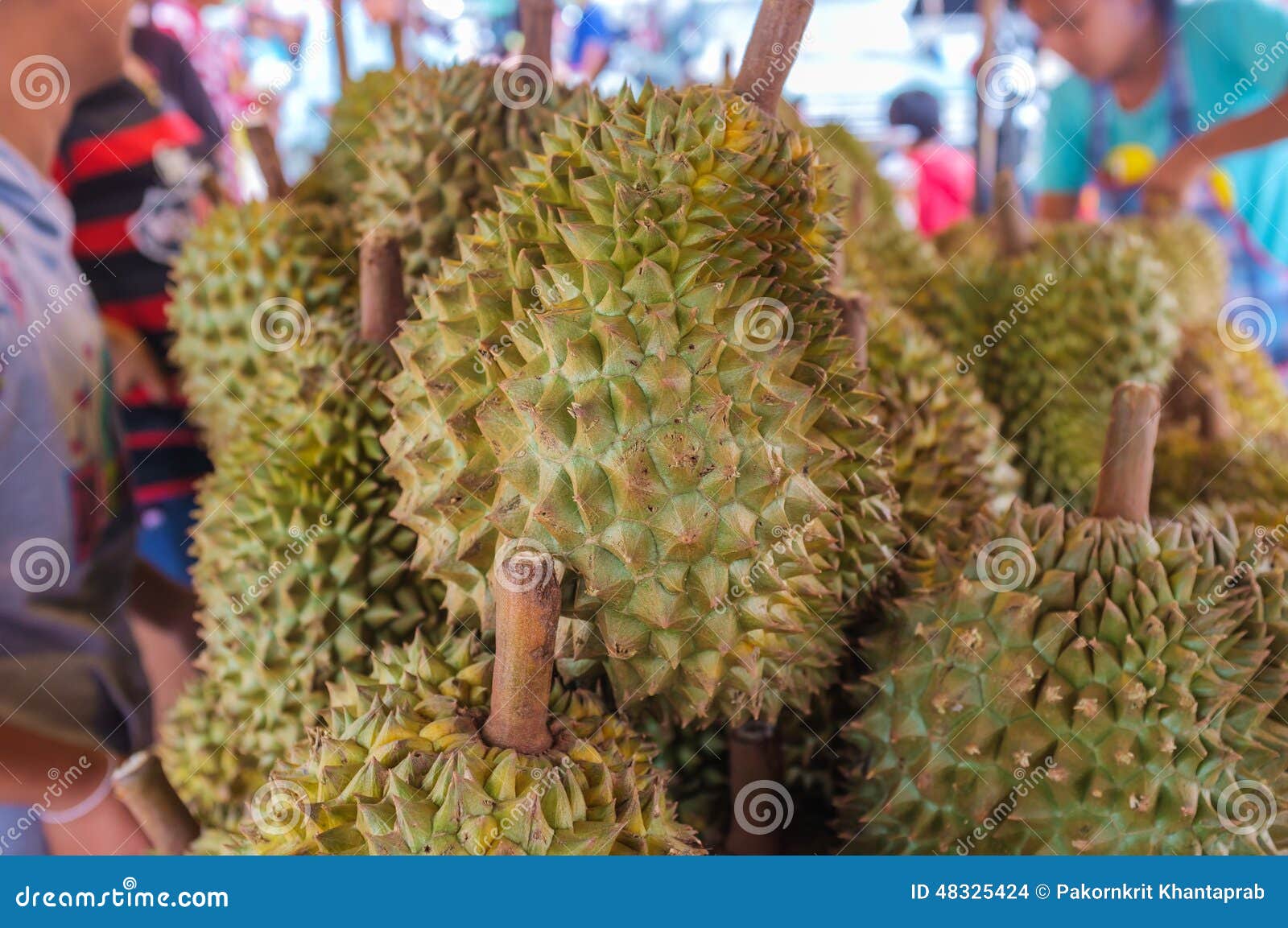 Durian Market stock photo. Image of culture, fruit, freshly - 48325424