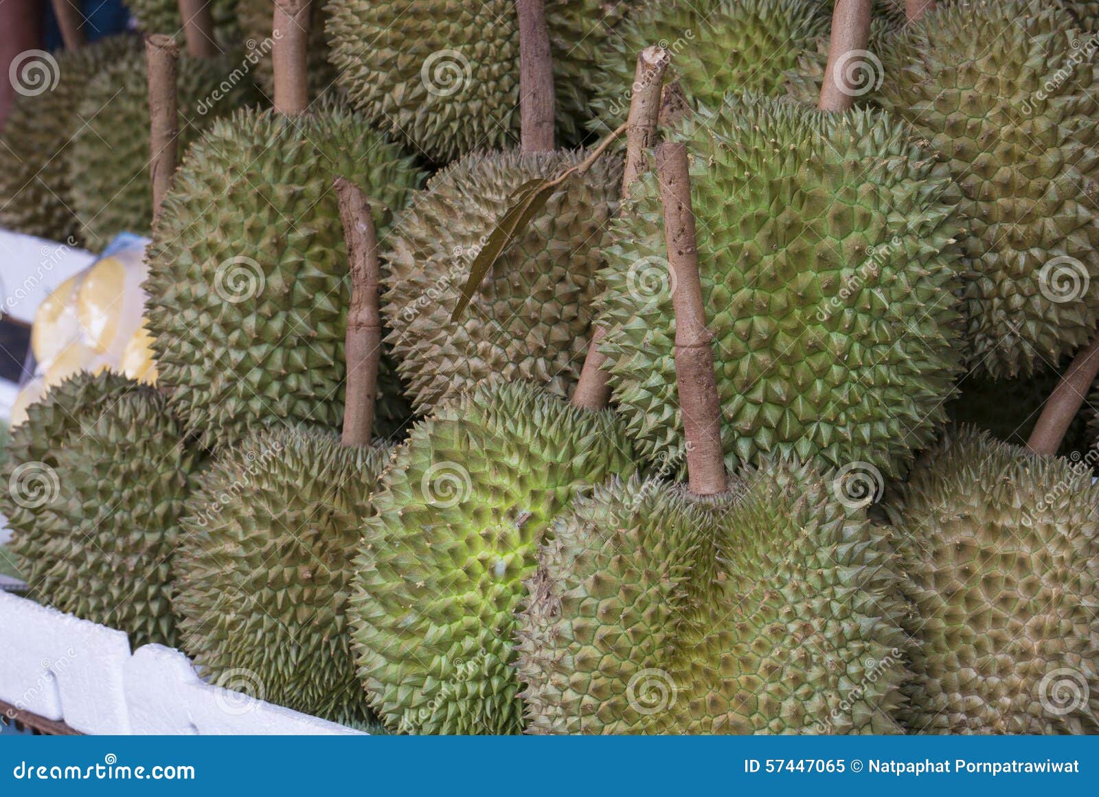 Durian in the Market - Horizontal Stock Image - Image of smelly, fresh ...