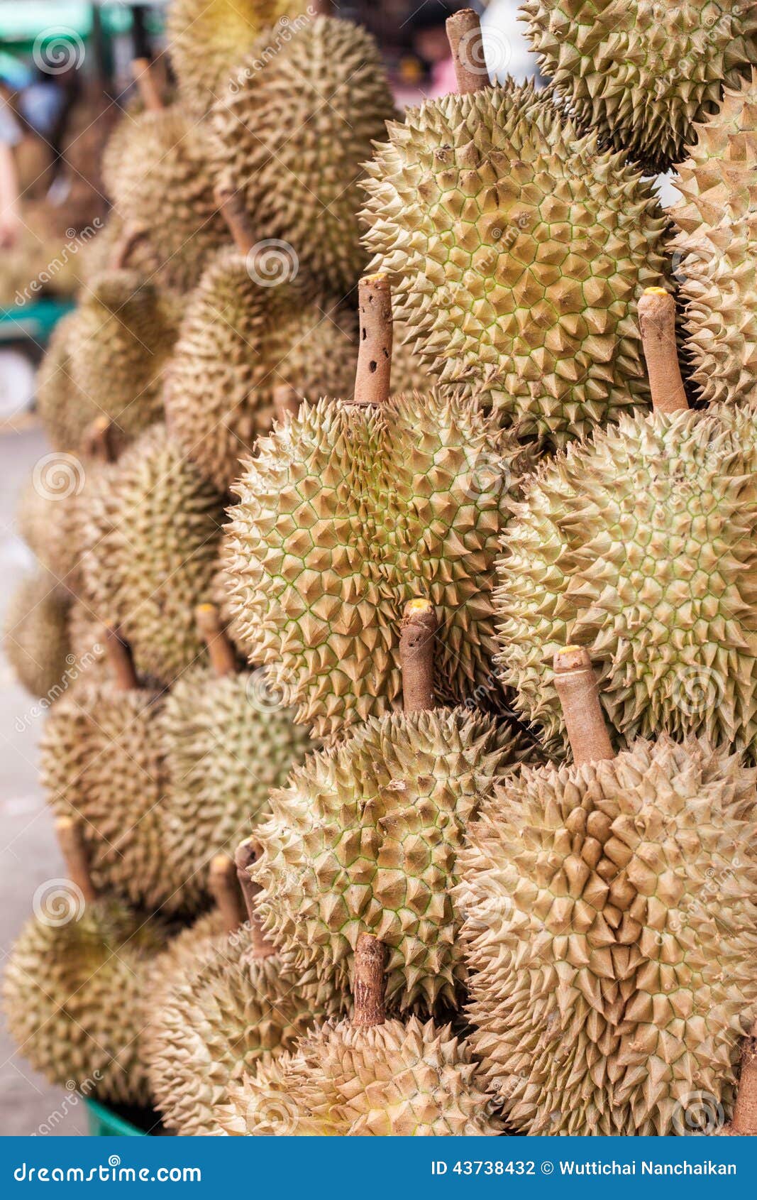 Durian in the market stock photo. Image of eating, asia - 43738432