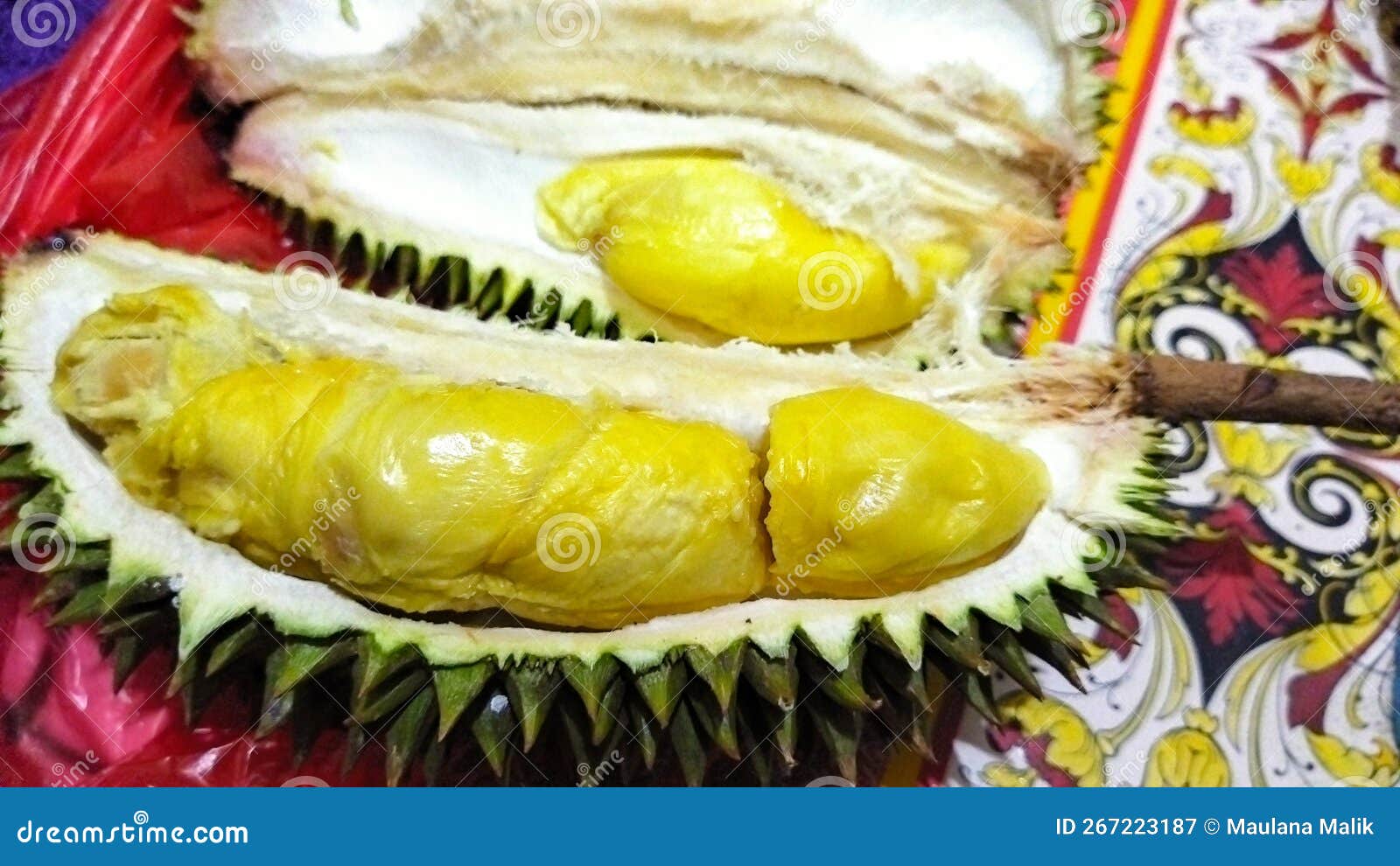 Durian Montong from Indonesia Stock Image - Image of montong, indro ...