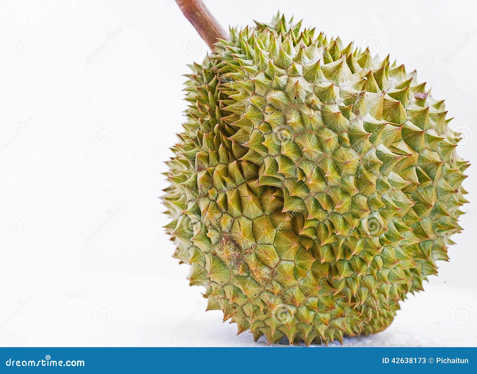 A durian stock image. Image of round, durian, green, malvaceae - 42638173