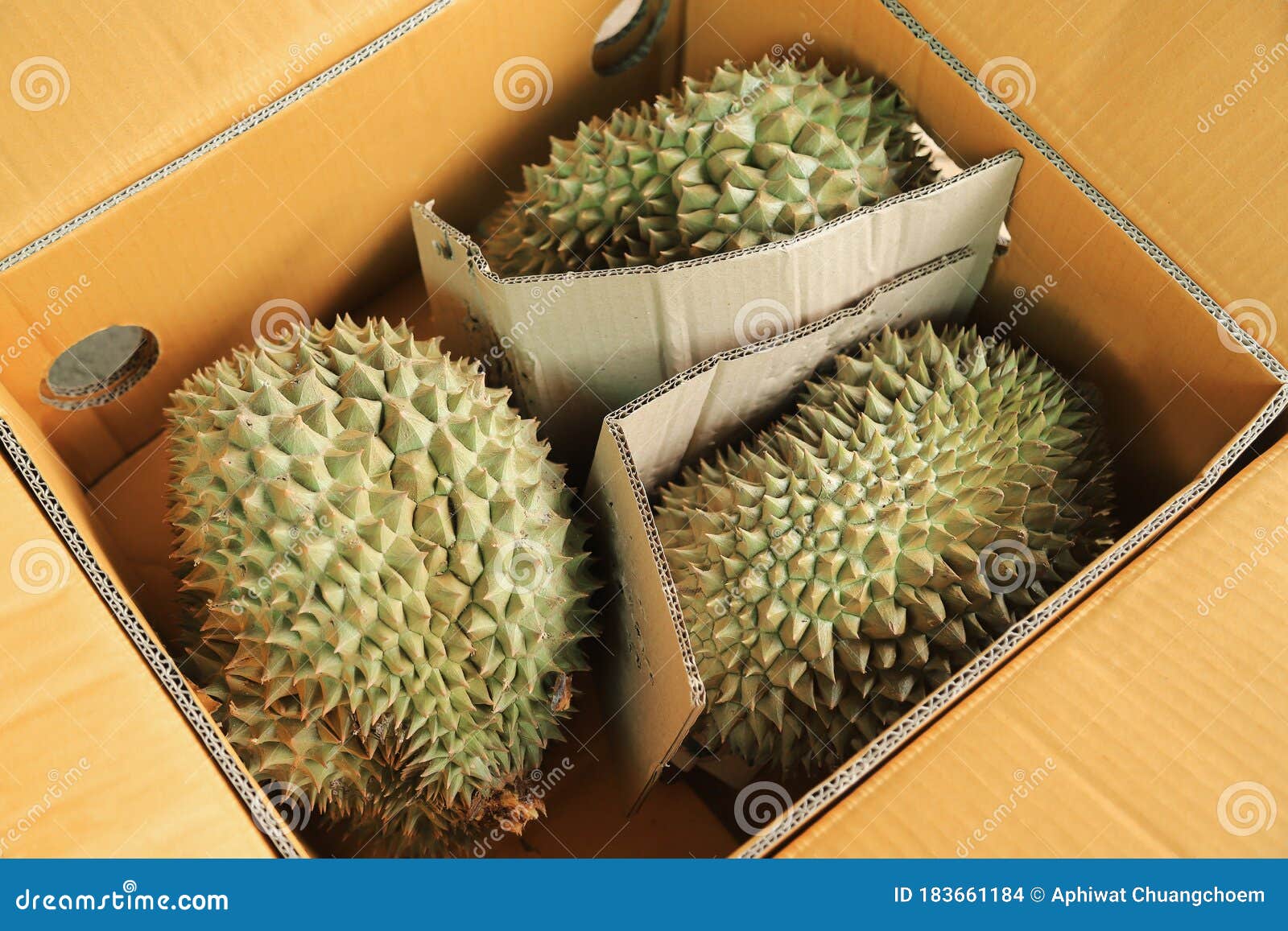 Durian Packaging in Box for Sending Seller Stock Photo - Image of ...