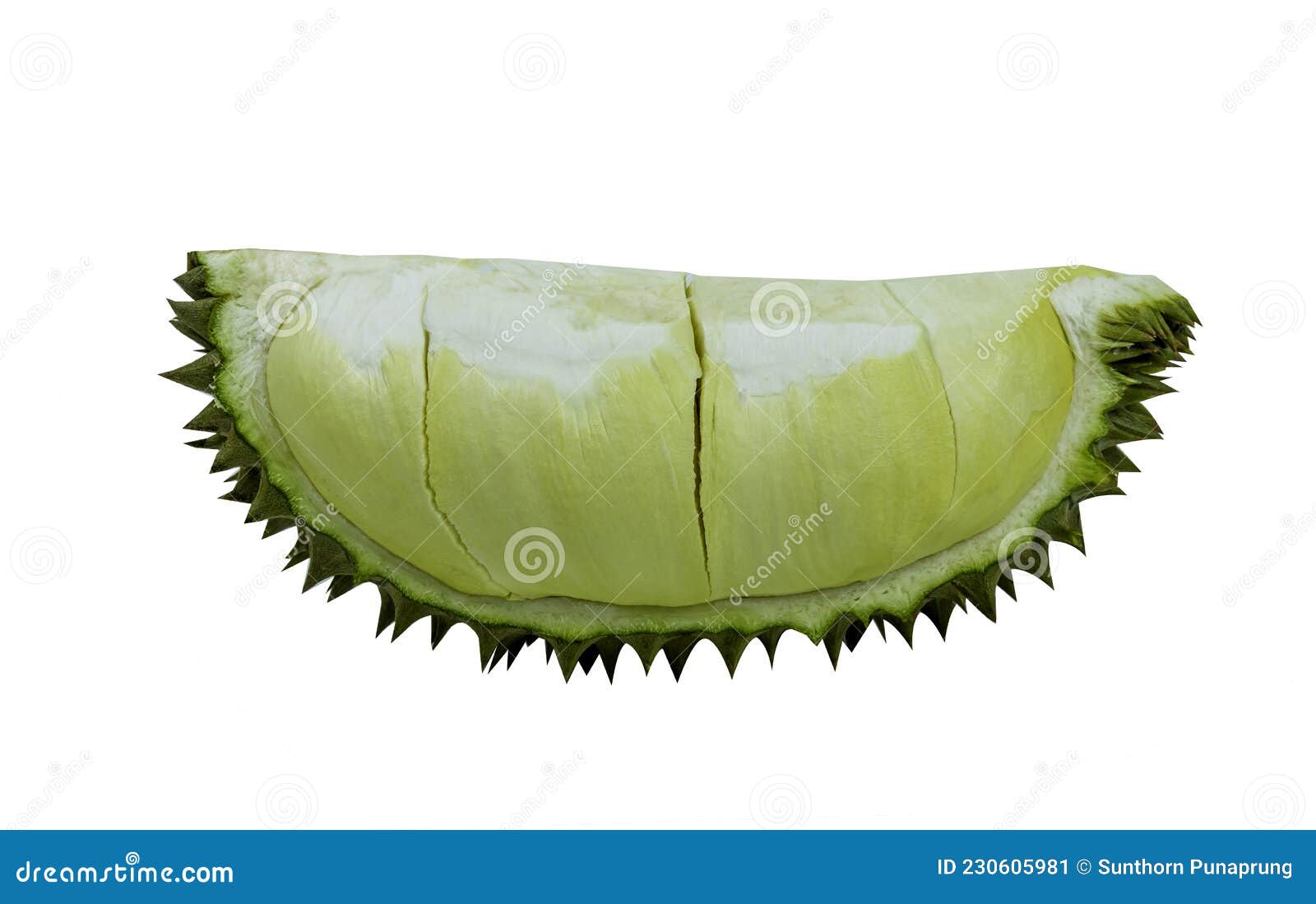 Durian Pulp with Peel Isolated on White Background Stock Image - Image ...