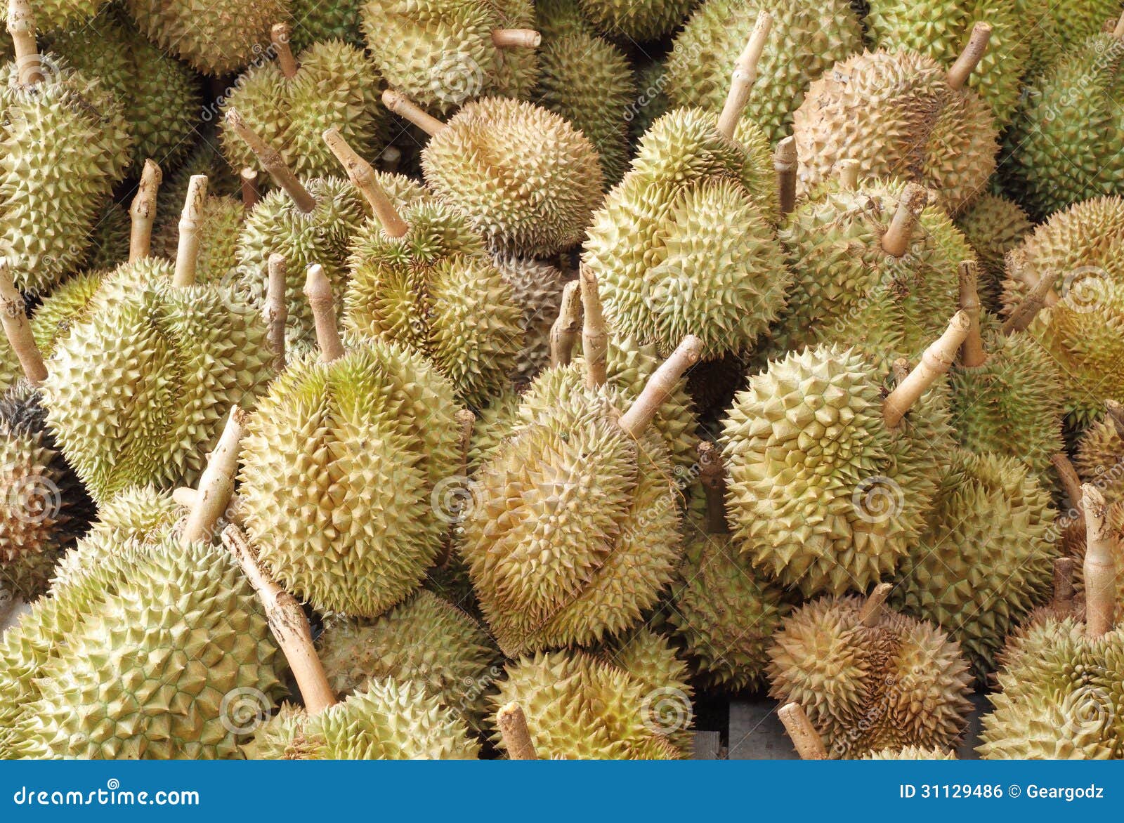 Durian, rey de la fruta foto de archivo. Imagen de cultura - 31129486