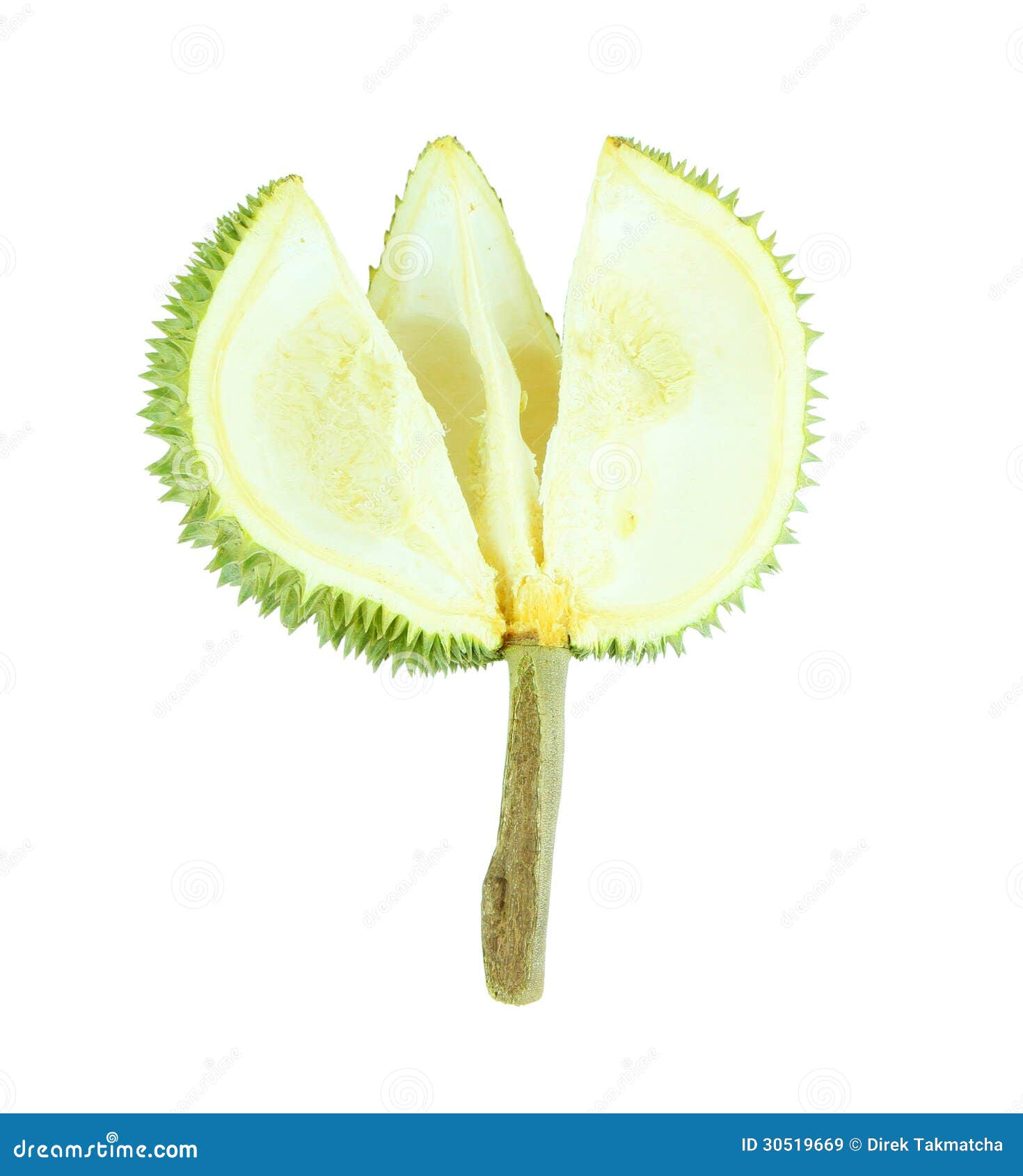 Durian Shell, Thorns Of Durian On White Background Royalty-Free Stock ...