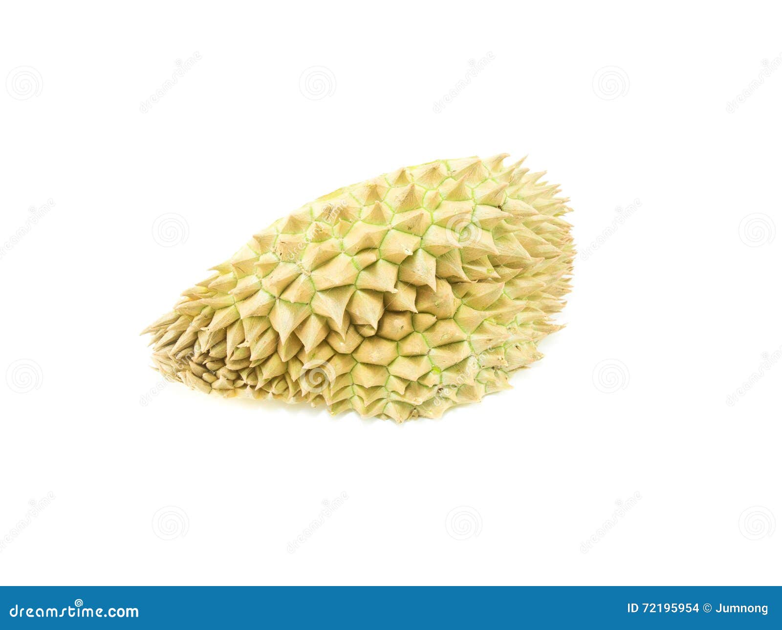 Durian Shell, Thorns Of Durian On White Background Royalty-Free Stock ...