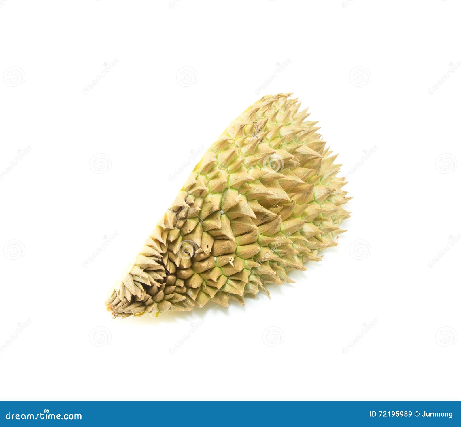 Durian Shell, Thorns of Durian on White Background Stock Image - Image ...