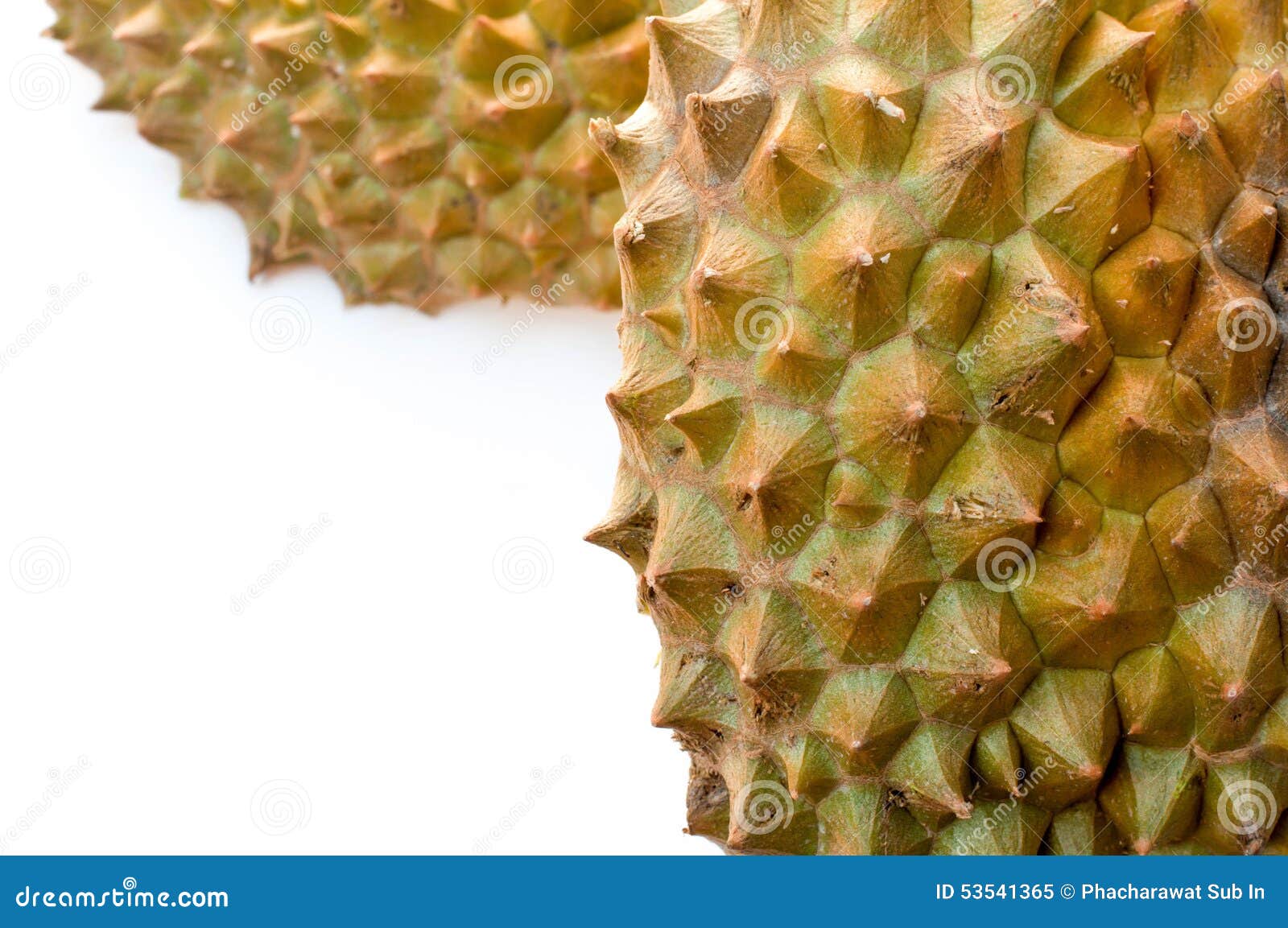 Durian Shell in White Background Stock Image - Image of green ...