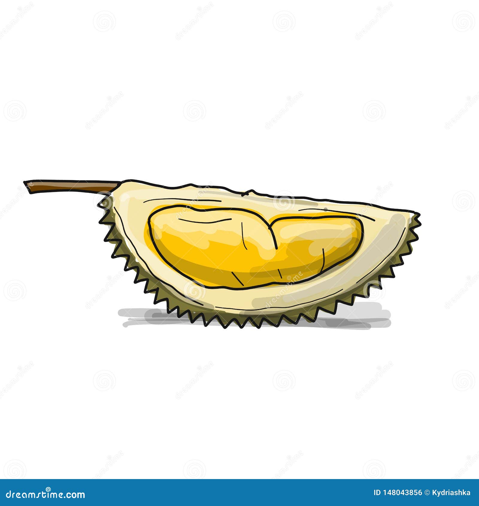 Durian, Sketch for Your Design Stock Vector - Illustration of cartoon ...