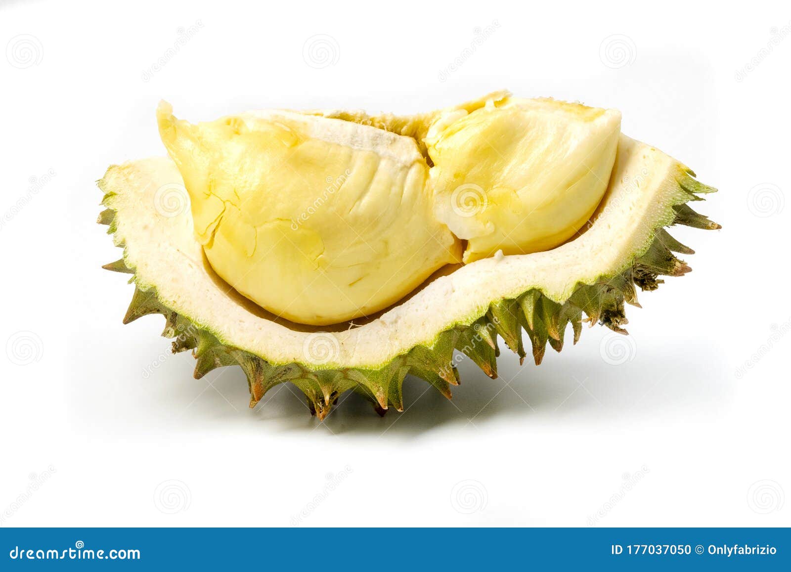 Durian stock photo. Image of fruit, background, life - 177037050