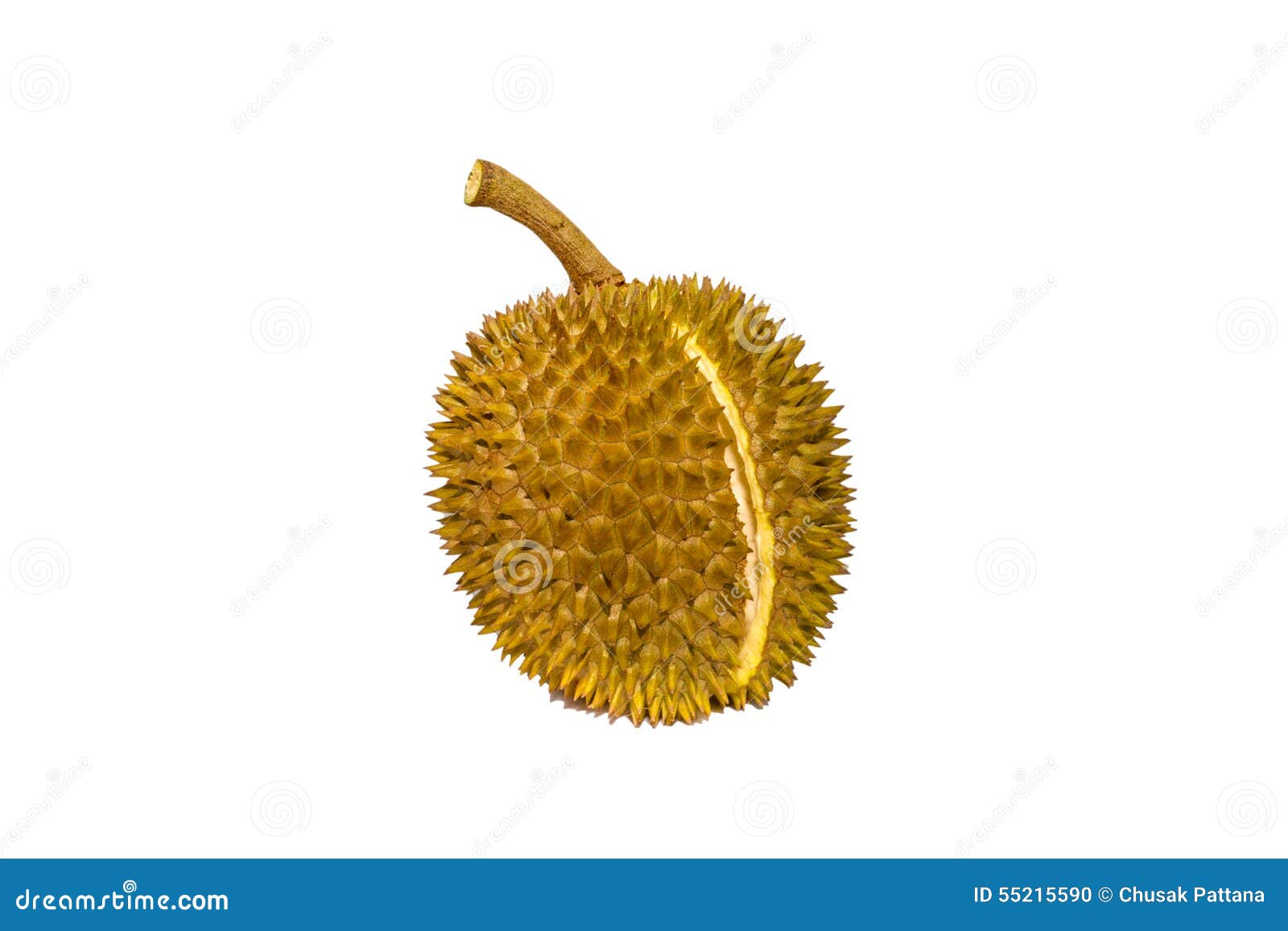 Durian stock photo. Image of thorn, fruit, tropical, fresh - 55215590