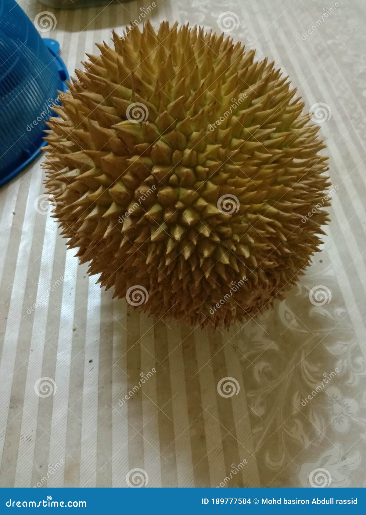 Durian a Smelly Fruit but Delicious Stock Photo - Image of fruit ...
