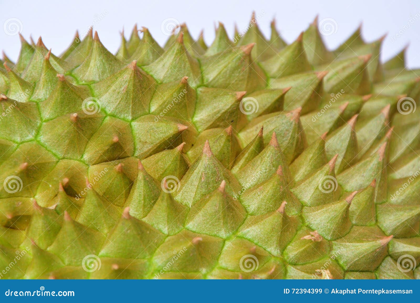 Durian Spiky Texture And Background Stock Image | CartoonDealer.com ...