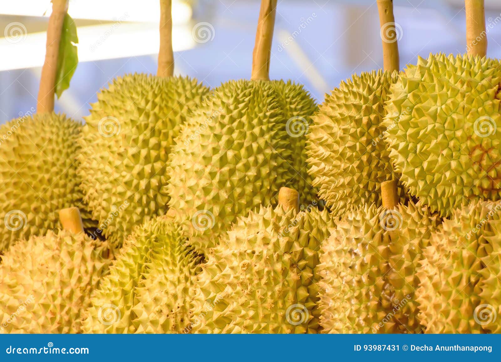 Durian stacks stock image. Image of nature, food, king - 93987431
