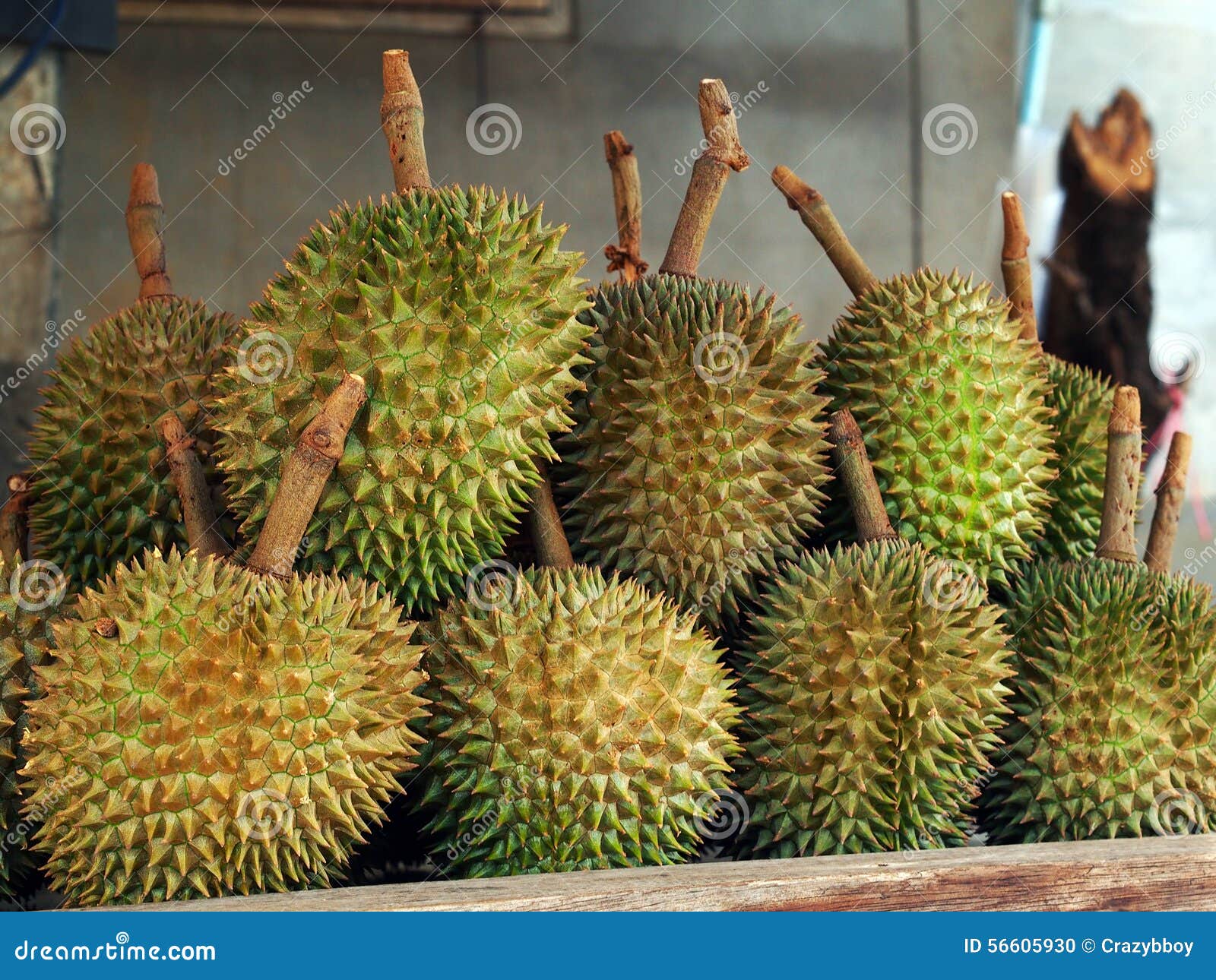Durian on the table stock photo. Image of sharp, king - 56605930