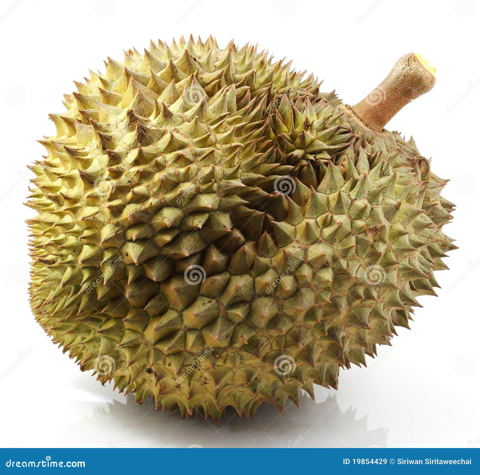 Durian Thai Fruit stock image. Image of asian, taste - 19854429
