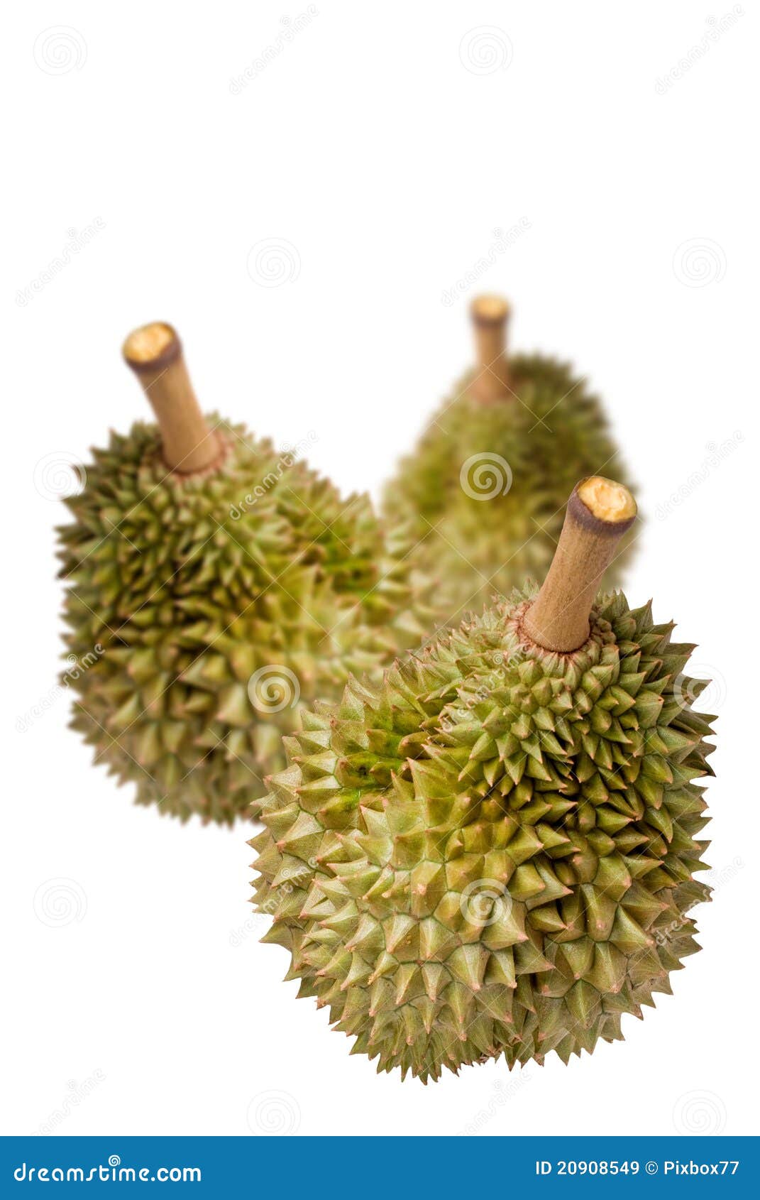 Durian, Thai Fruit Isolated Stock Image - Image of tang, fruit: 20908549