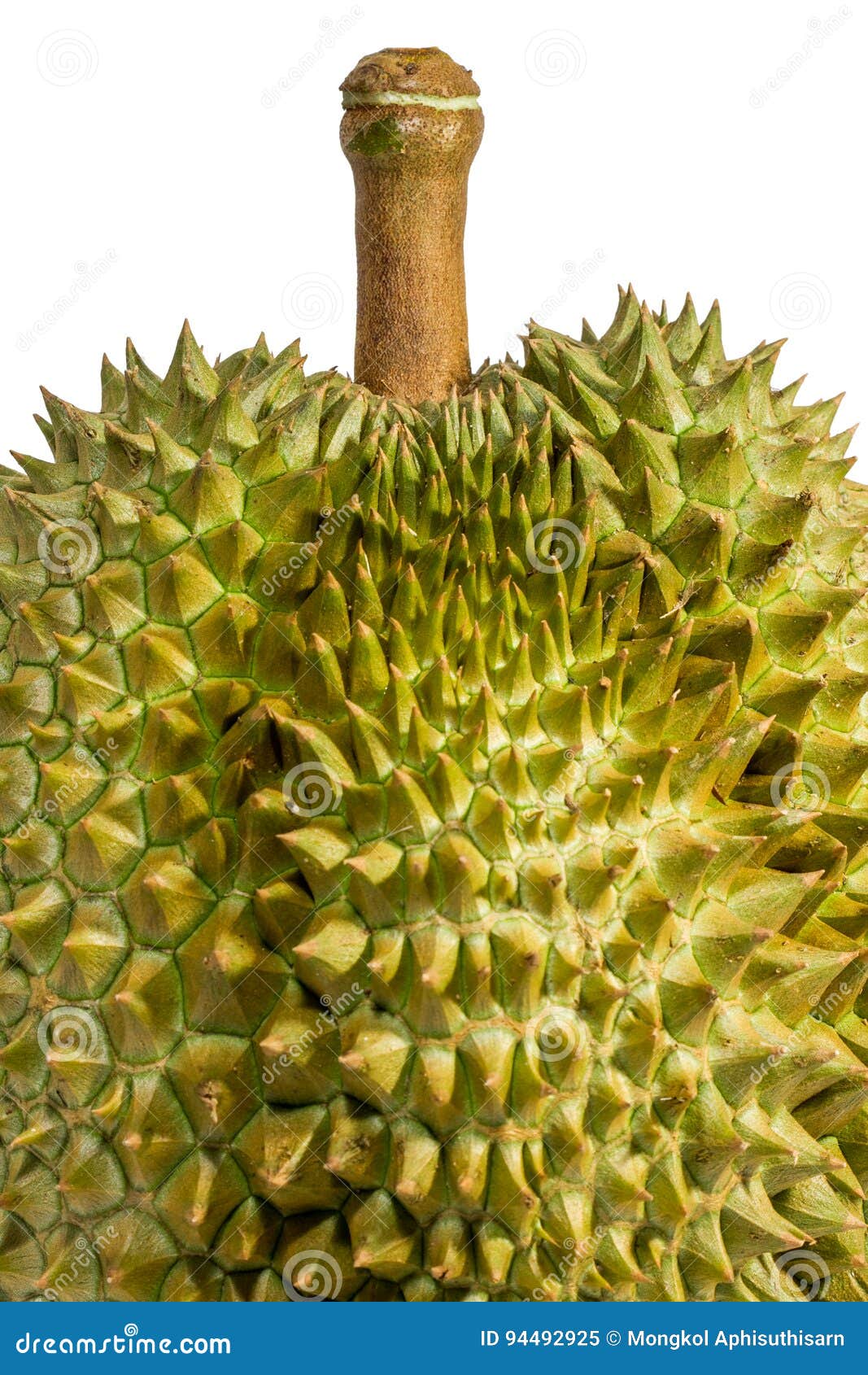 Durian Thai Fruit stock image. Image of exotic, fruit - 94492925