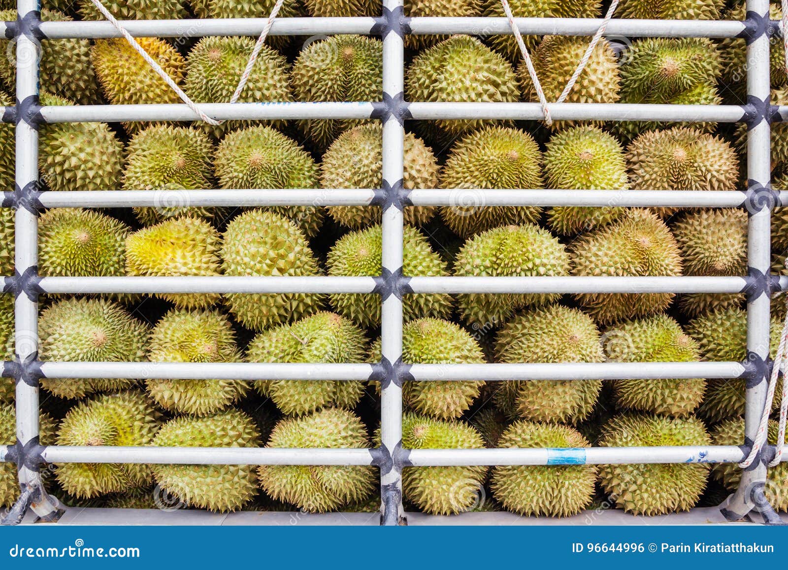 Durian Transported Car Stock Photos - Free & Royalty-Free Stock Photos ...