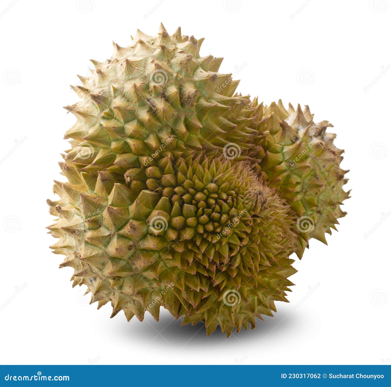 Durian Is A Tropical Fruit From Southeast Asia. Durian On A Blue ...