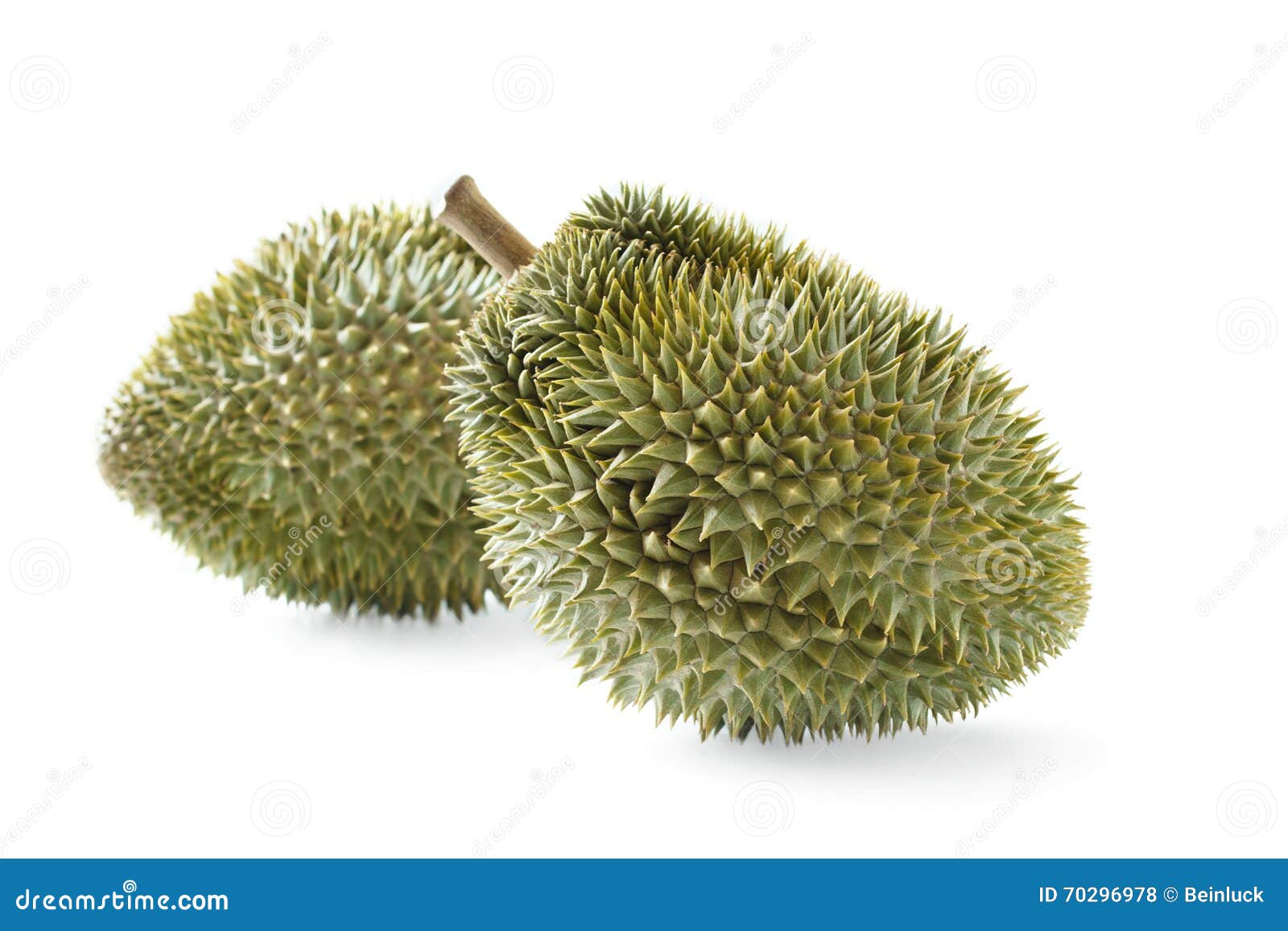 Durian Is A Tropical Fruit From Southeast Asia. Durian On A Blue ...