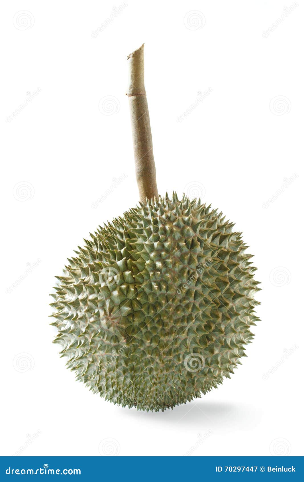 Durian Is A Tropical Fruit From Southeast Asia. Durian On A Blue ...