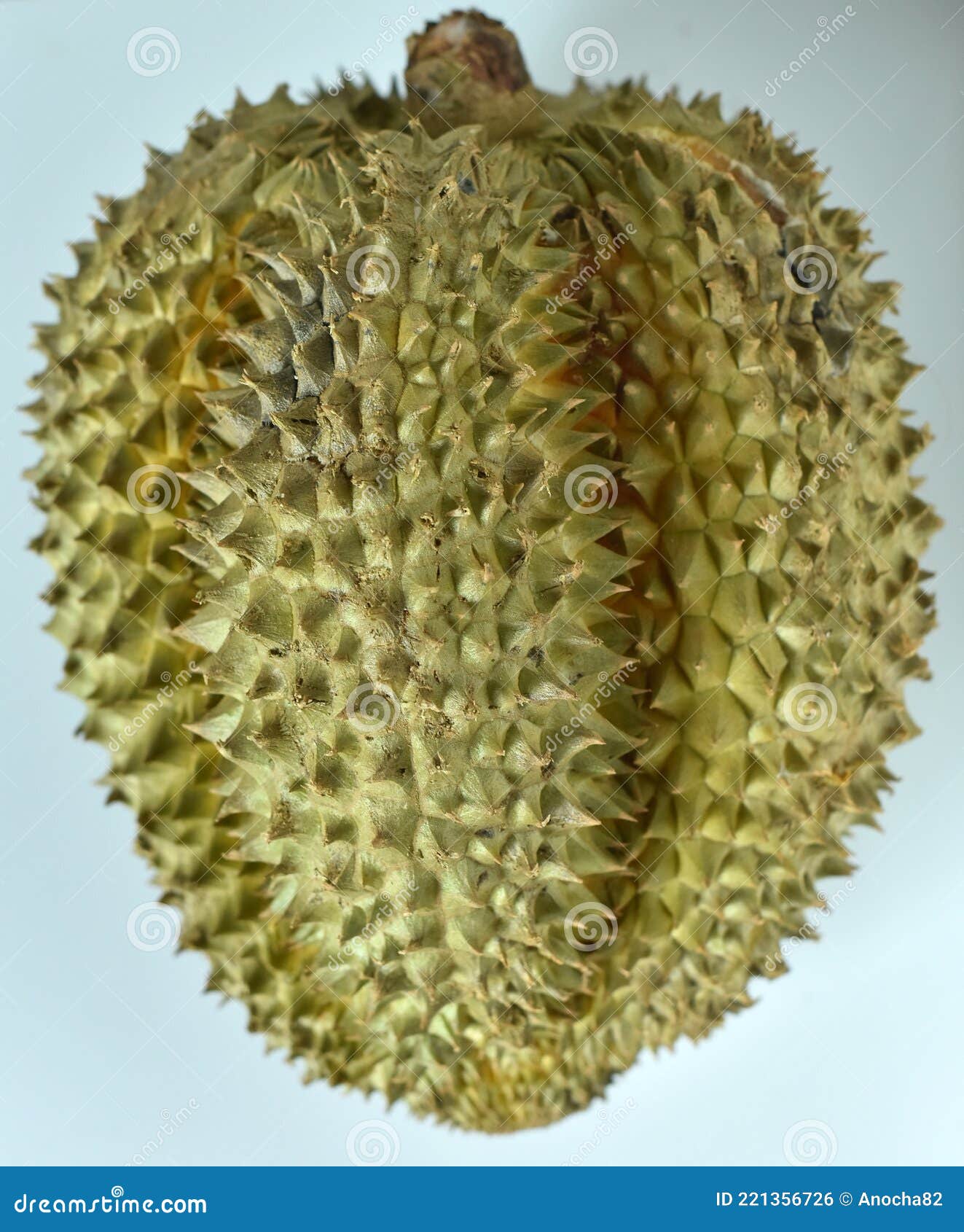 A Durian on a White Background Stock Photo - Image of organic, durians ...
