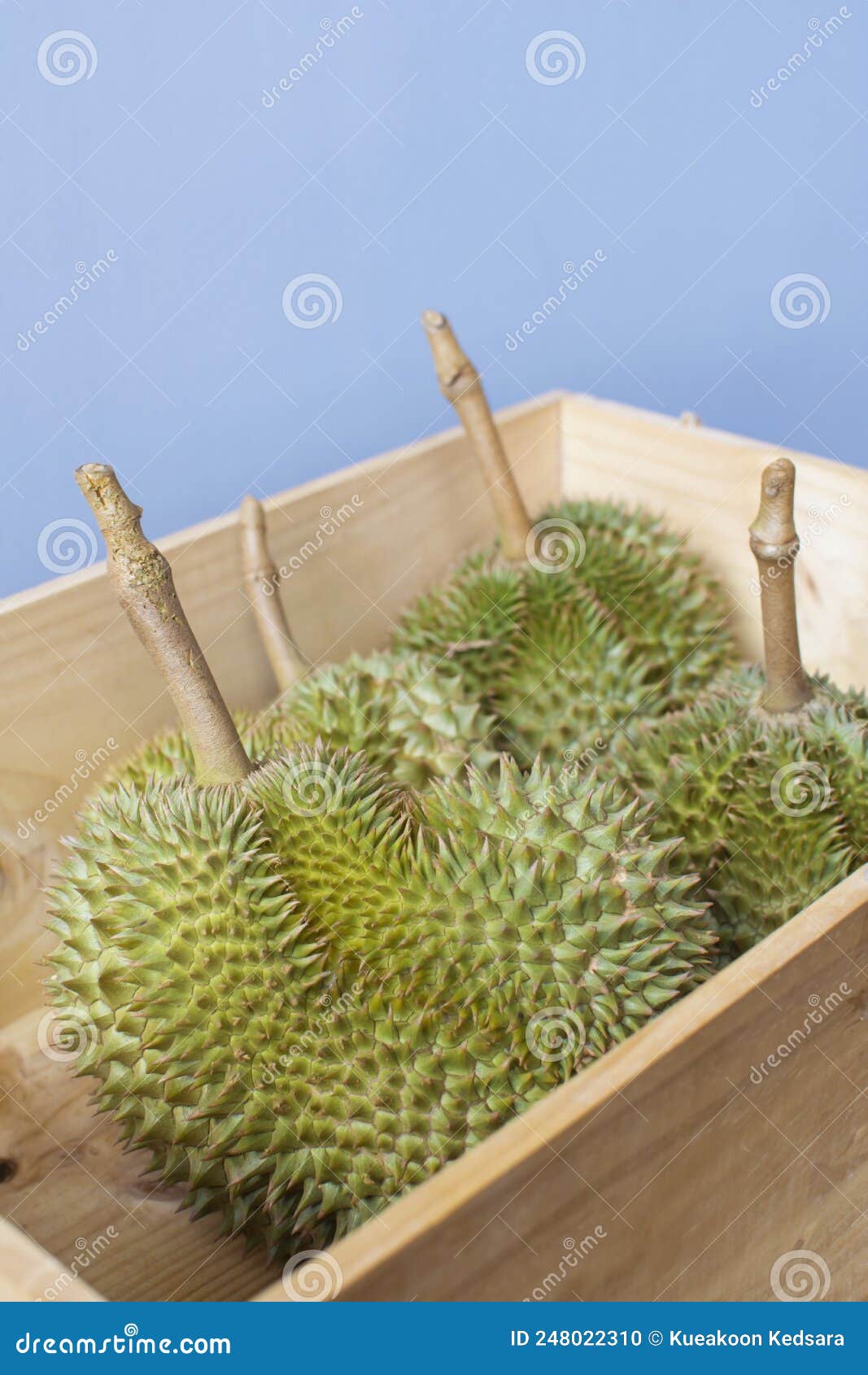 Durian in a Wooden Crate. Ready for Shipping Stock Photo - Image of ...