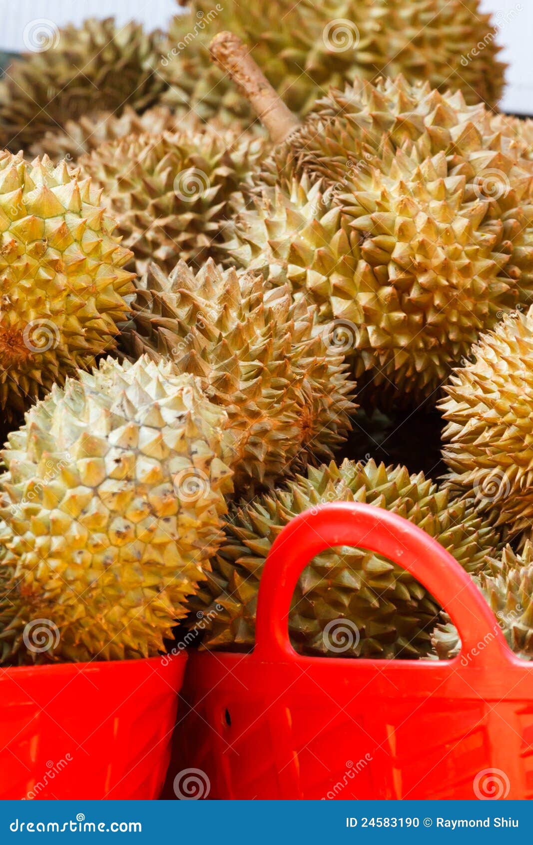 Durians stock photo. Image of juicy, fruit, delicious - 24583190