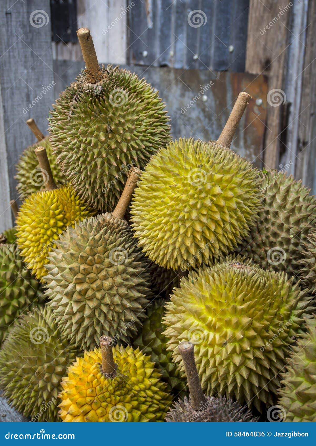 Durians arkivfoto. Bild av piggar, förvärvad, taggigt - 58464836