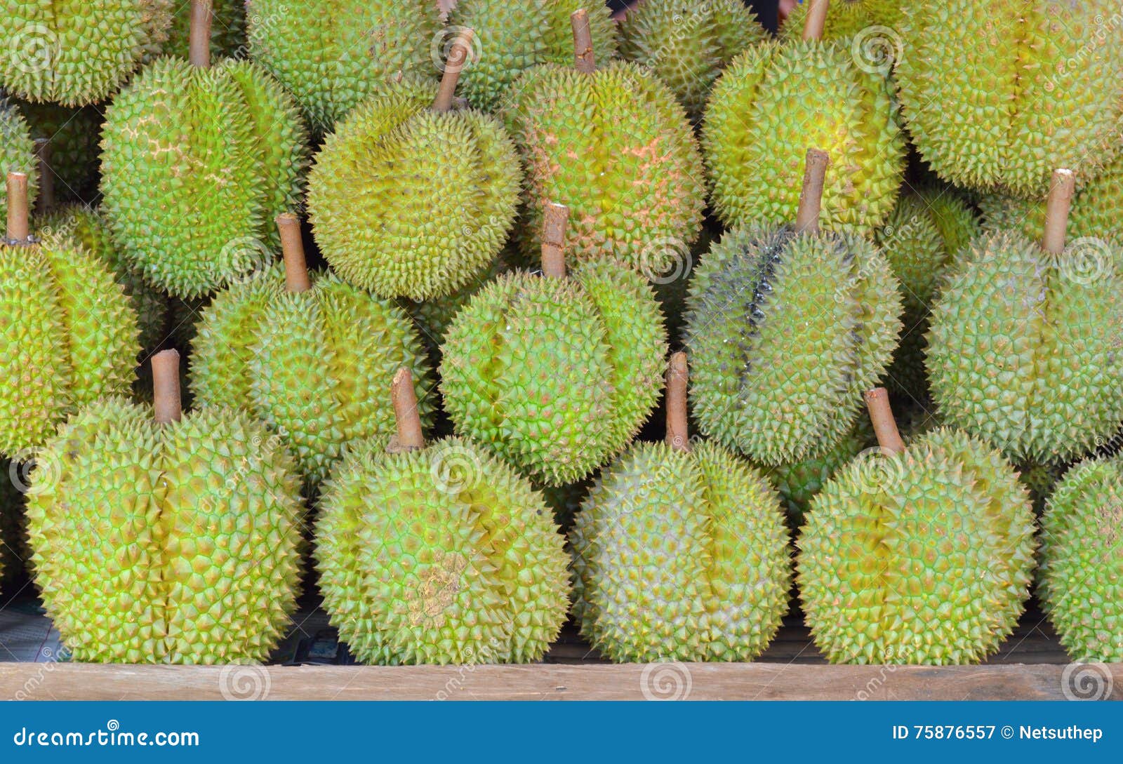 Durians stock afbeelding. Image of vrucht, landbouw, landbouwbedrijf ...