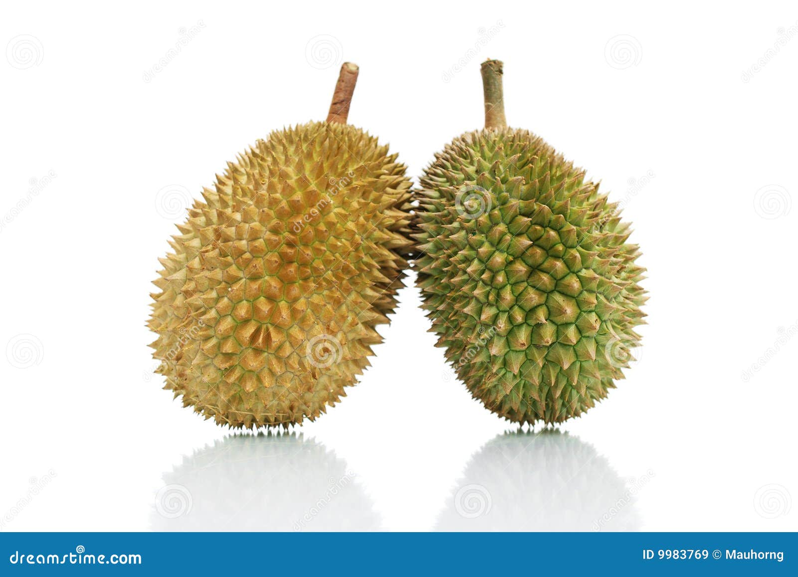 Durians stock image. Image of fruit, green, stand, sharp - 9983769