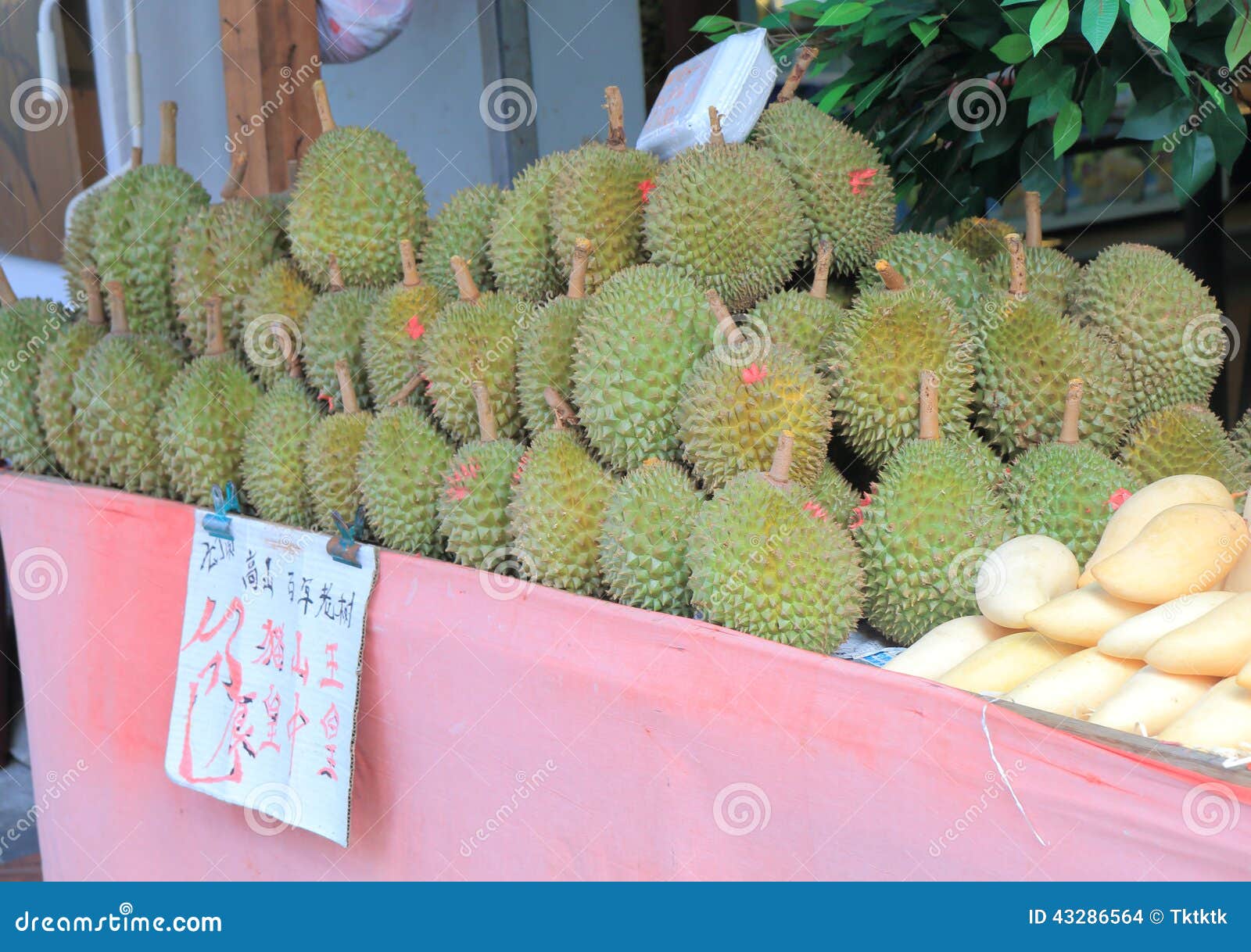 Durians display stock photo. Image of durians, fresh - 43286564