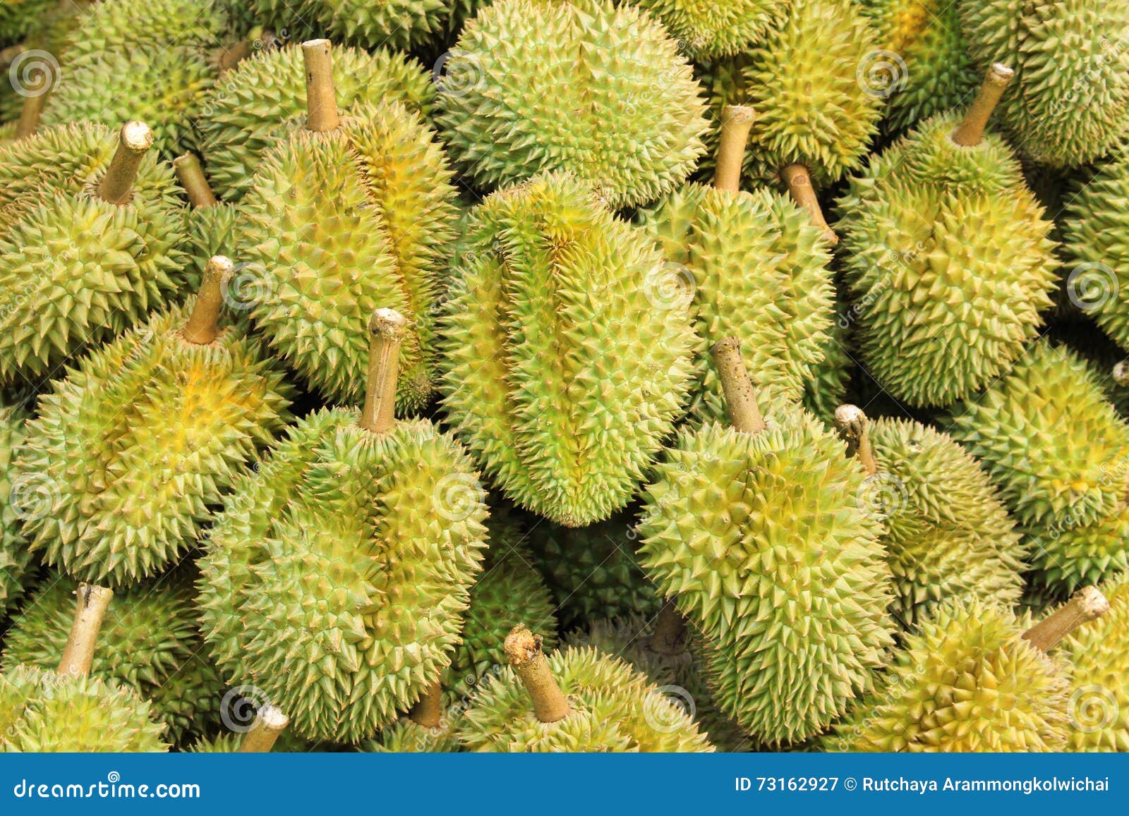 Durians stock image. Image of sweet, nature, rambutan - 73162927