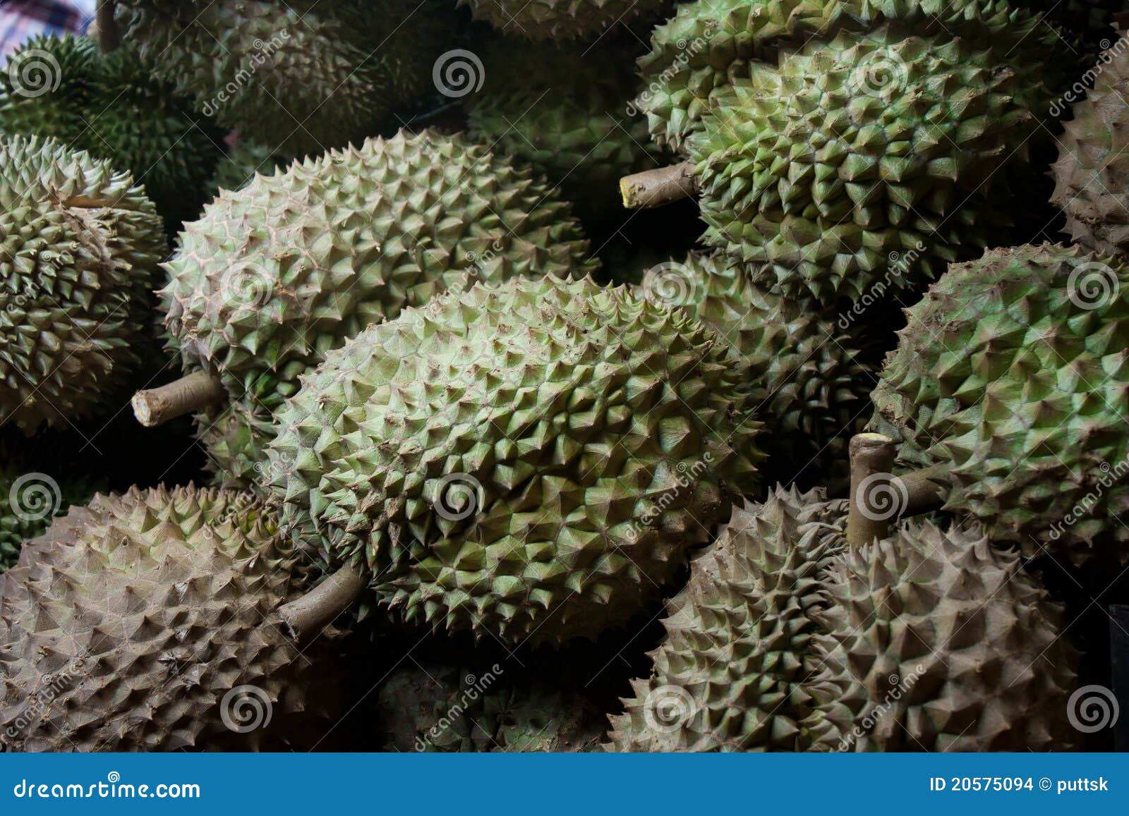 Durians in Thai market stock photo. Image of forest, smelly - 20575094