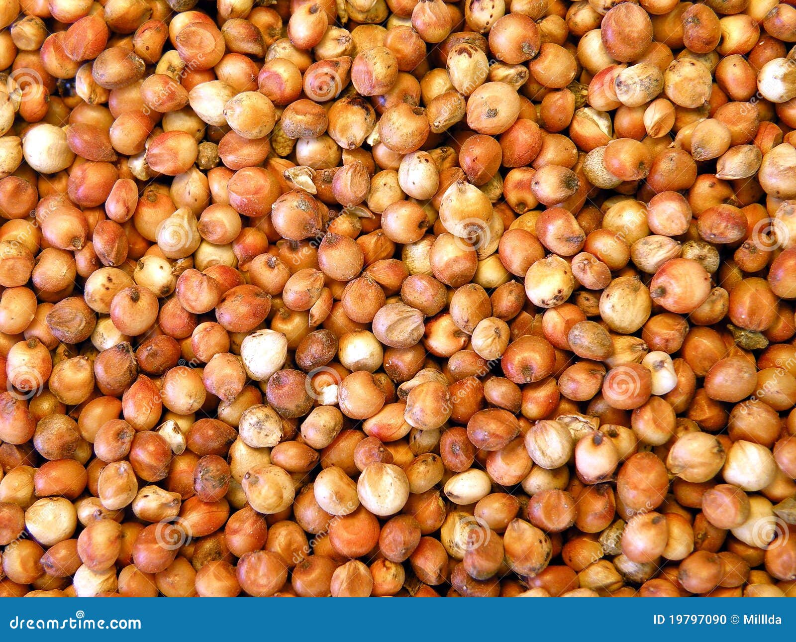 Durra arkivfoto. Bild av ingrediens, olja, durra, stängning - 19797090