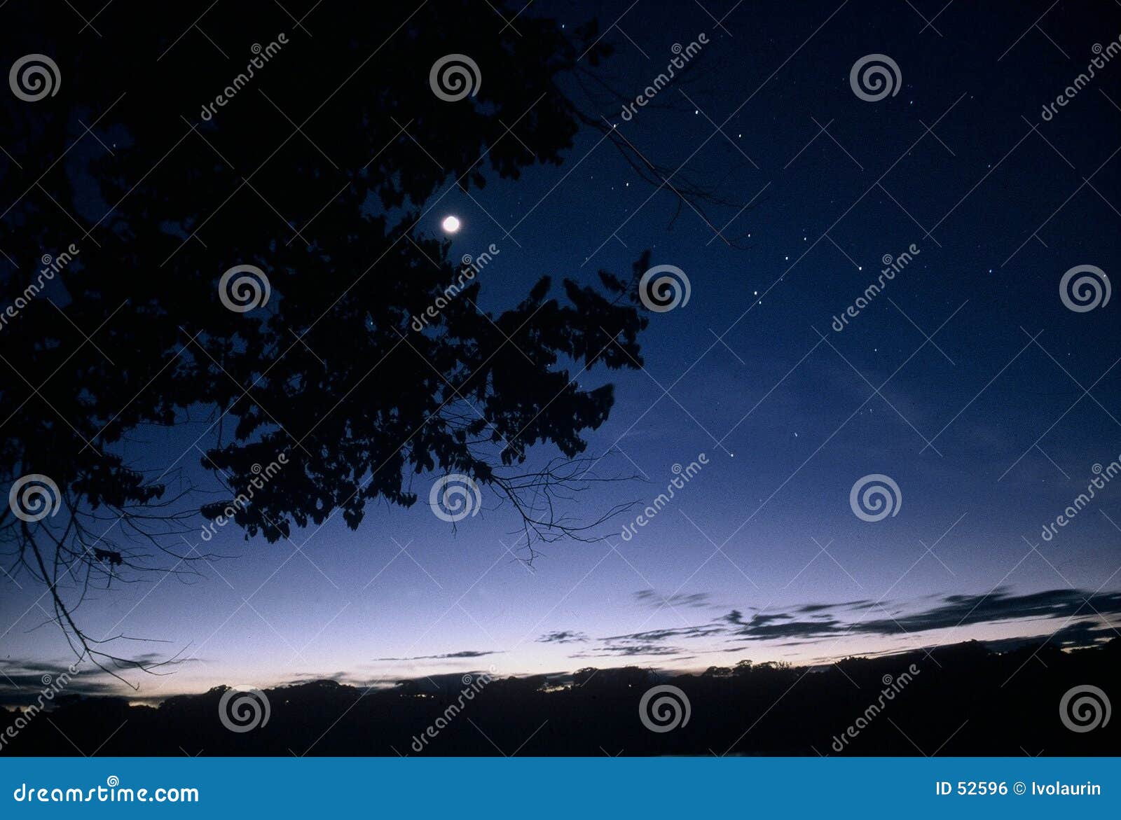 Amazon Stars Stock Photos - Free & Royalty-Free Stock Photos from ...