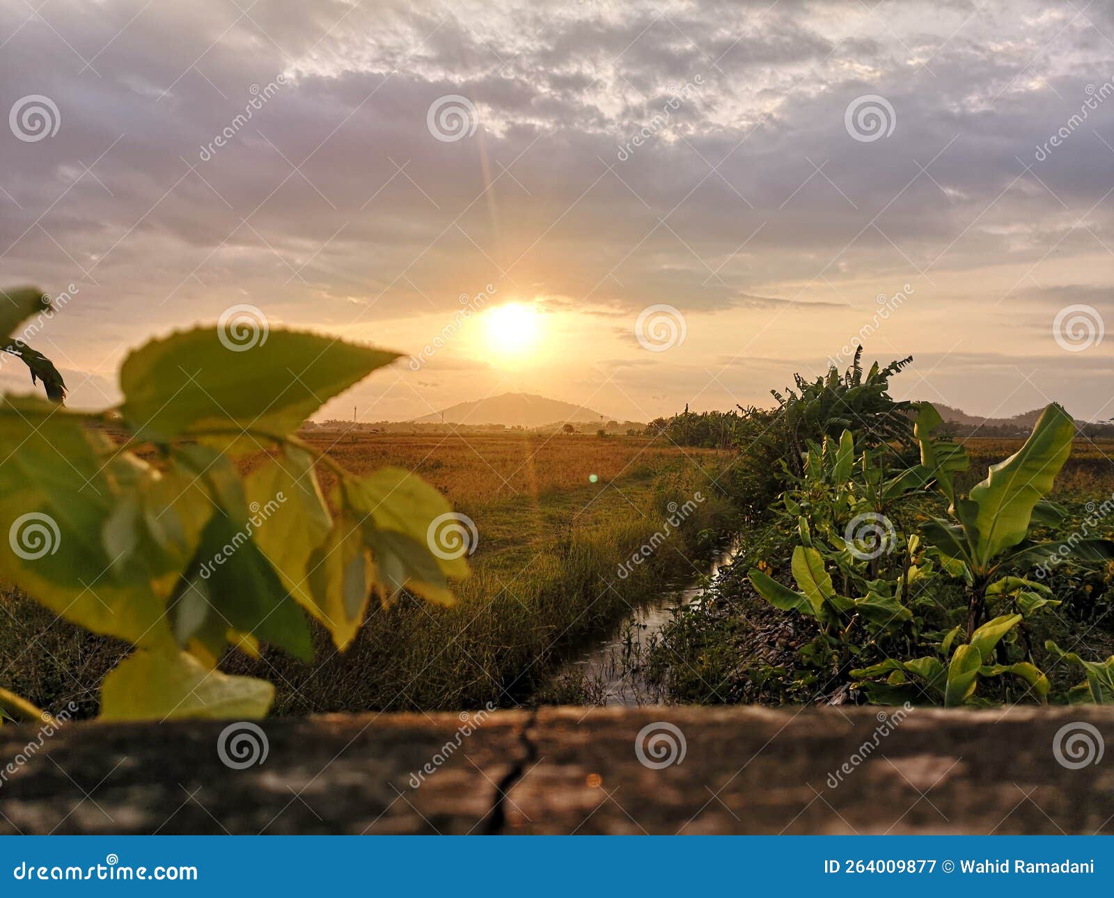 Changing Tableau Stock Photos - Free & Royalty-Free Stock Photos from ...